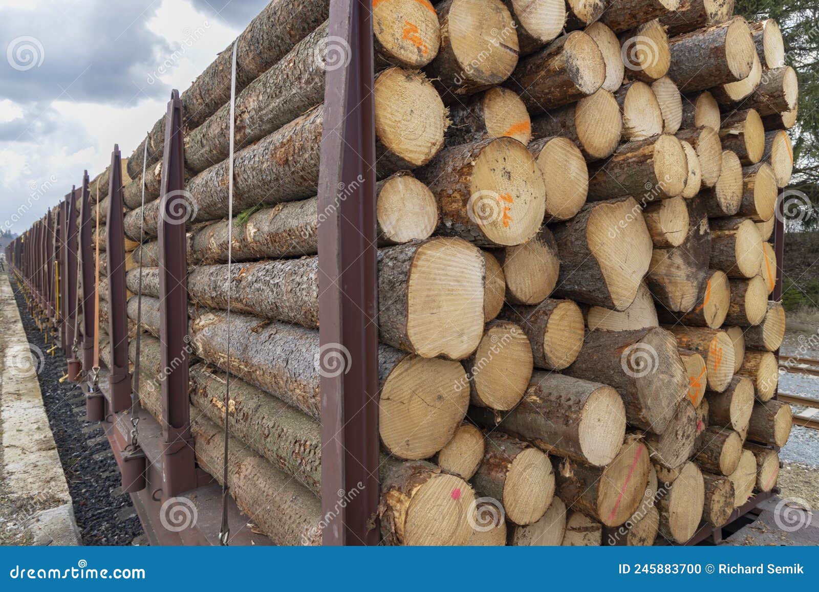 Transport of Timber on Railway Wagons Stock Photo - Image of tree ...