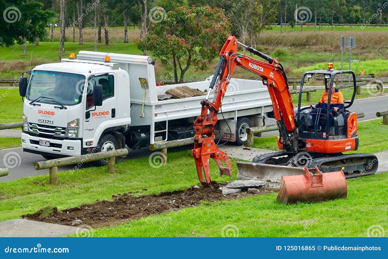 Transport, Tree, Vehicle, Motor Vehicle Picture. Image: 125016865