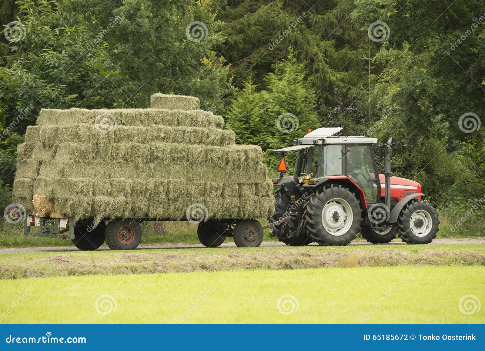 Transportation of Bales of Hay Stock Photo - Image of feed, fork: 65185672
