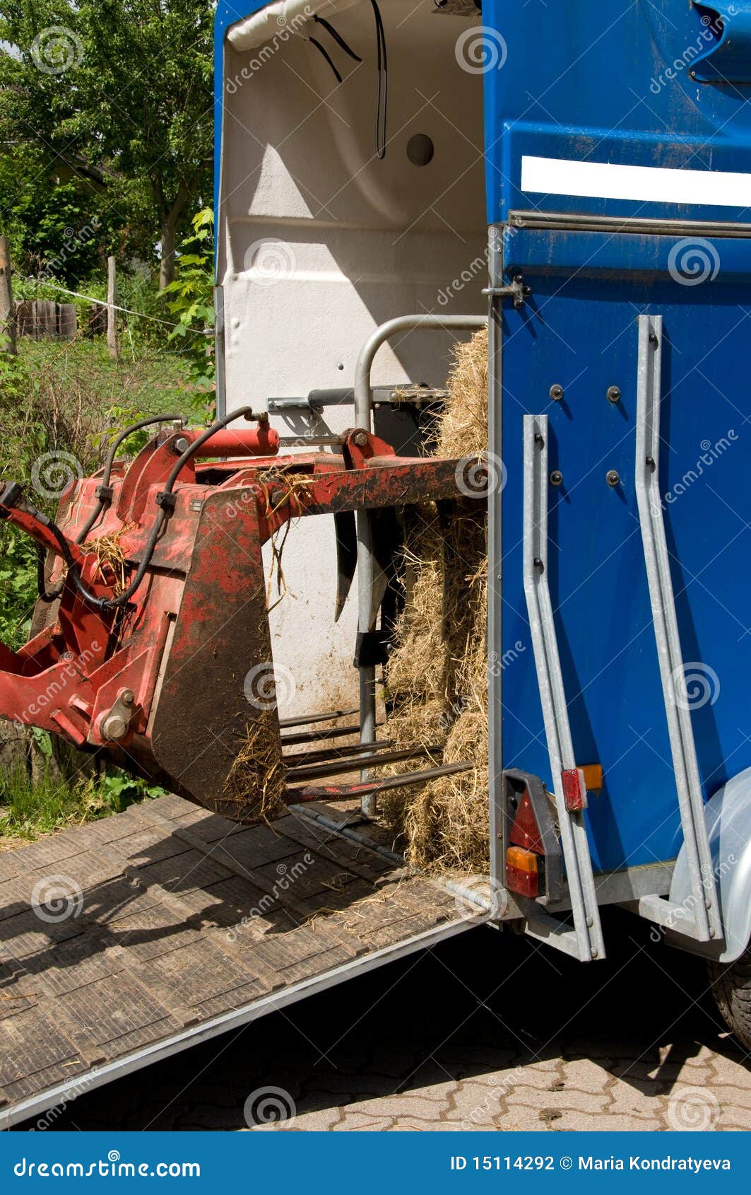 Transportation of Horse on a Trailer. Stock Photo - Image of store ...