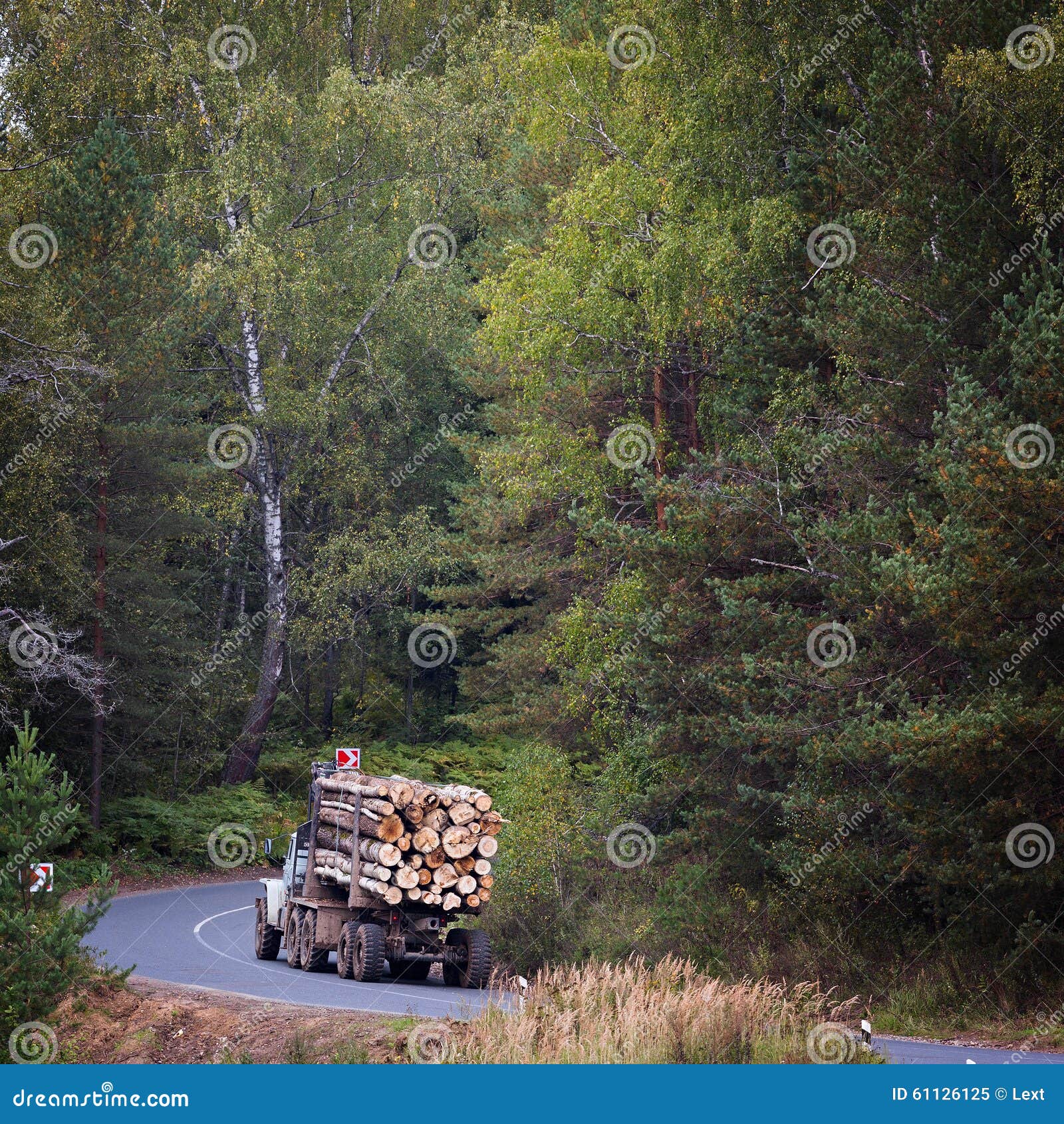 Transportation of Logs Prepared on Forest Road Stock Image - Image of ...
