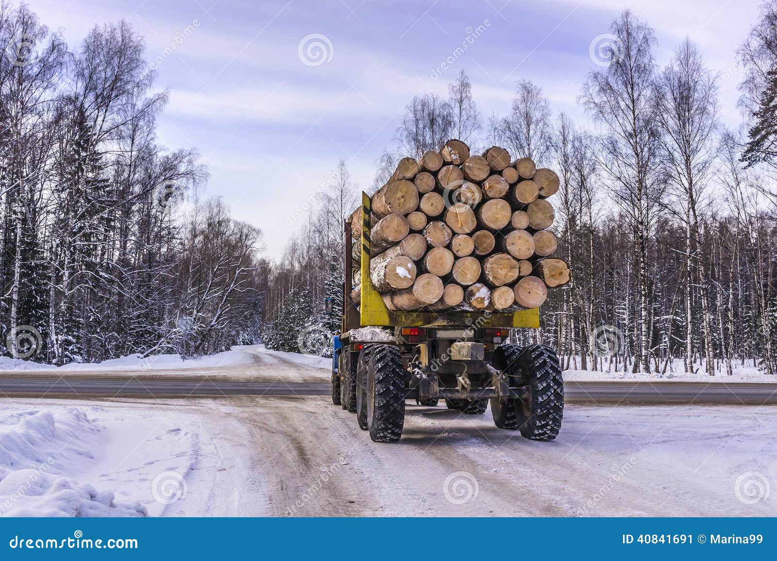 Transportation of Logs on Truck on Forest Road in Winter Stock Image ...