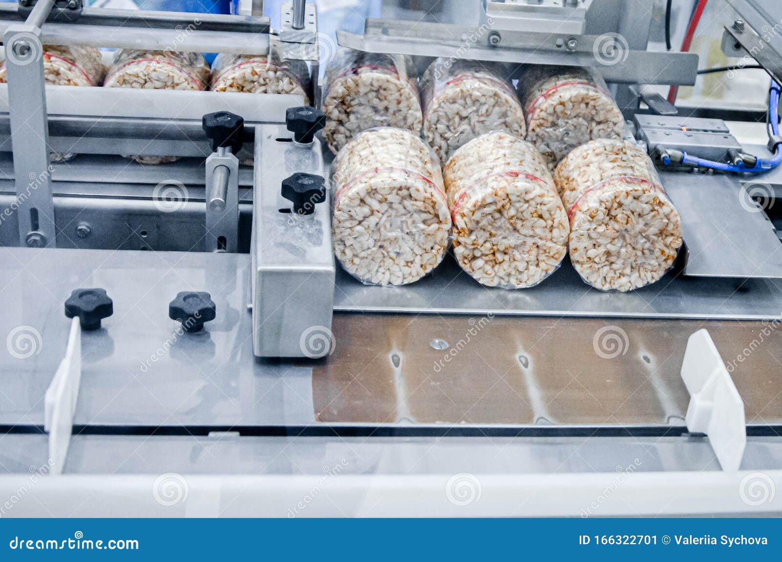 Transportation from One Process To Another on Food Production Line ...