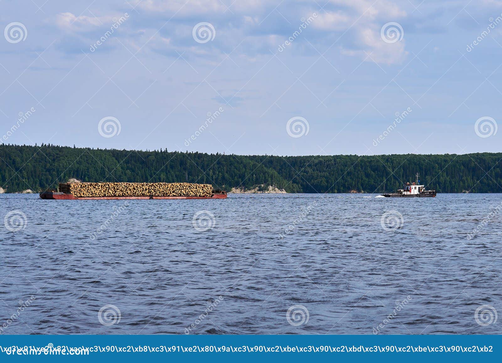 Transportation of Timber Along the River by Barge and Tug Stock Photo ...