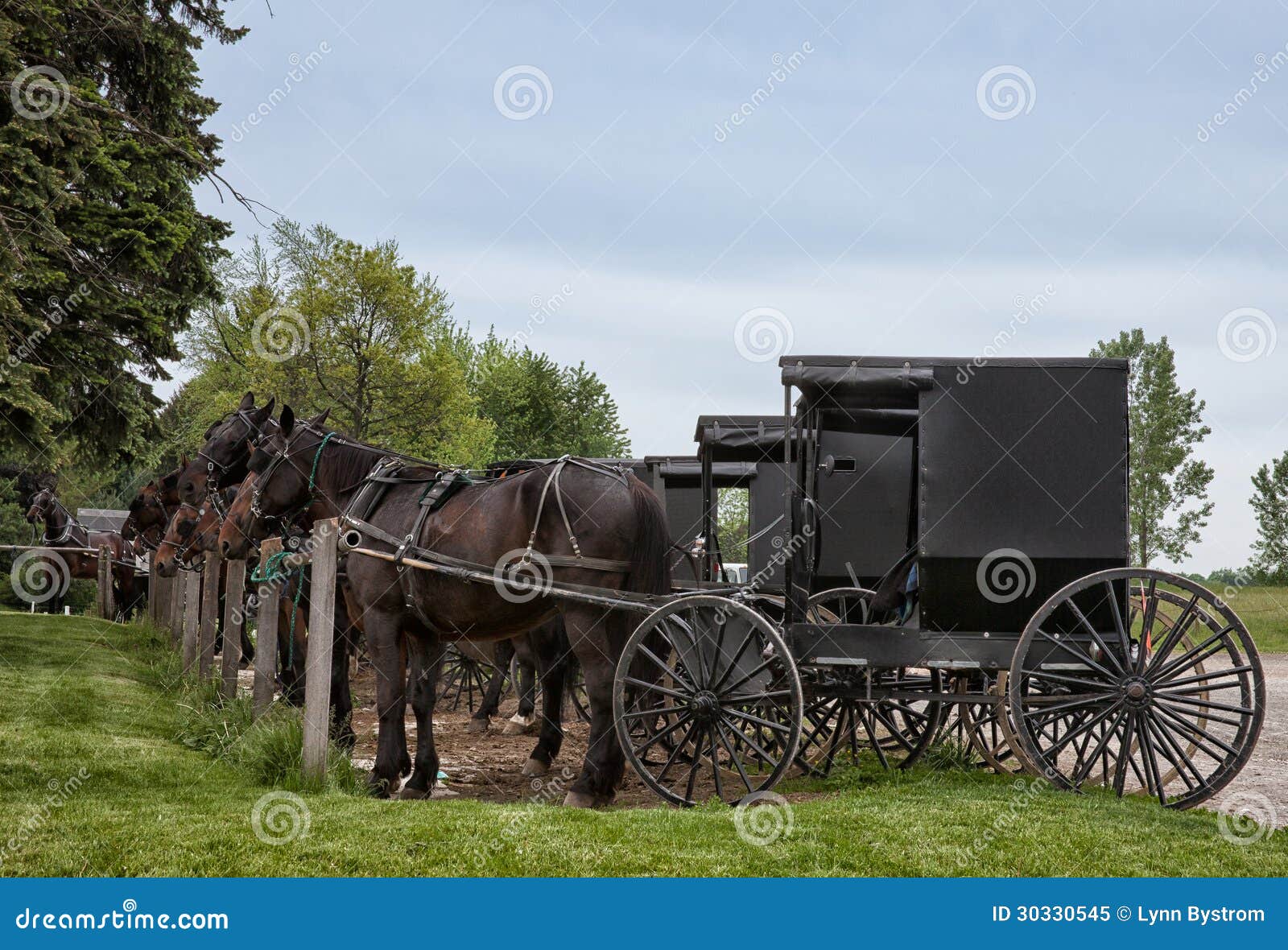 Transporte de Amish imagen de archivo. Imagen de rueda - 30330545