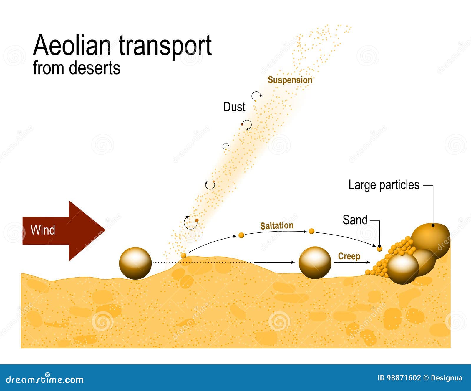 Transporte Eólico De Desiertos Procesos Eólicos Ilustración del Vector ...