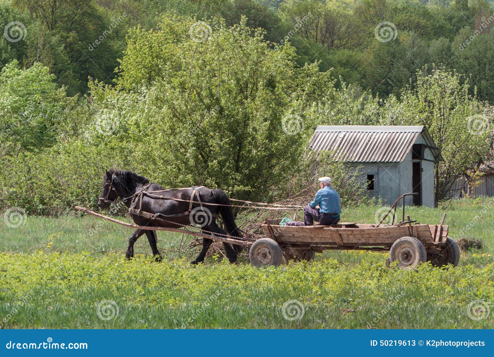 Transporte rural imagen de archivo. Imagen de agricultura - 50219613