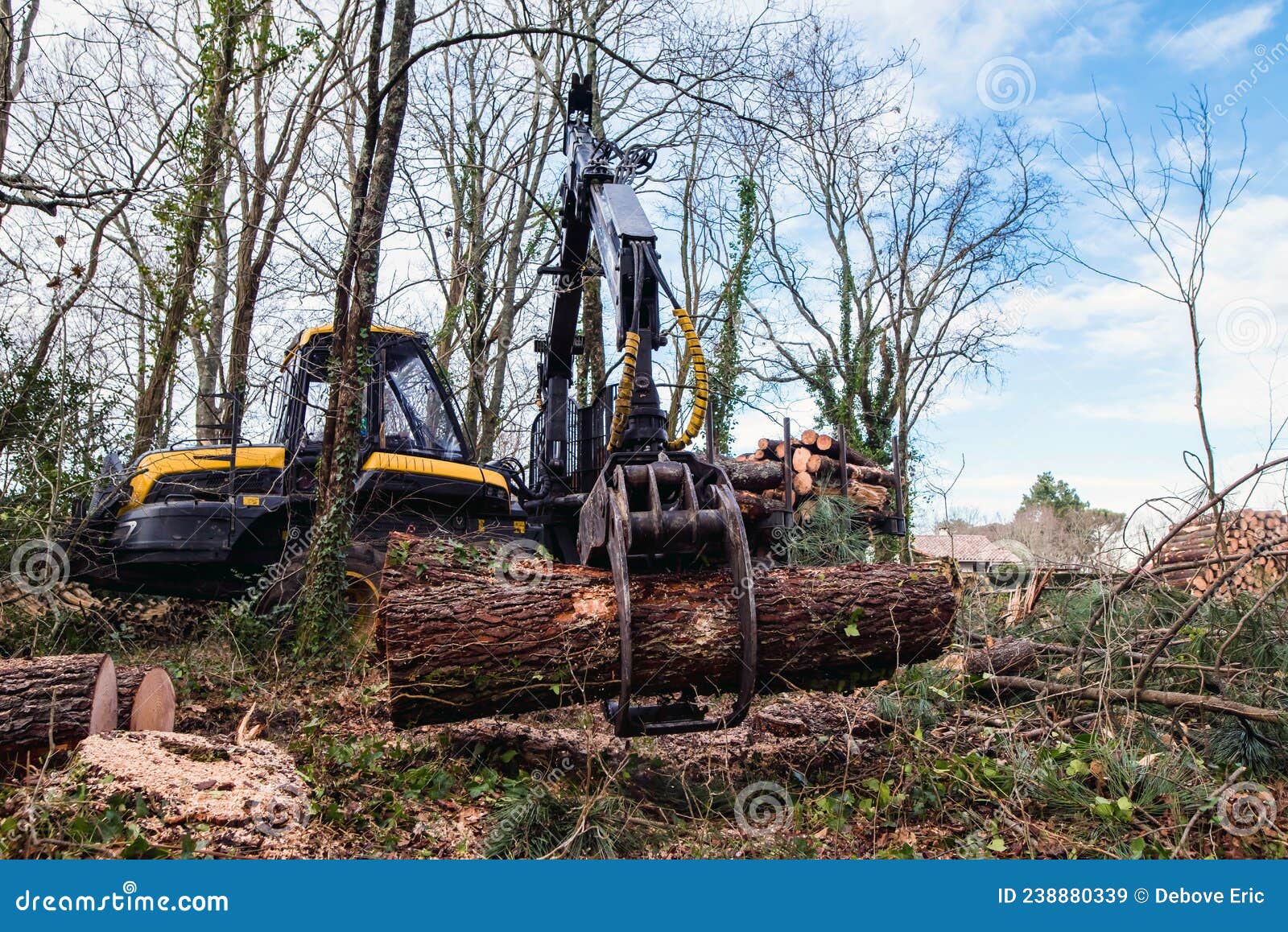 All-terrain Forestry Forwarder for Handling and Transporting Tree ...