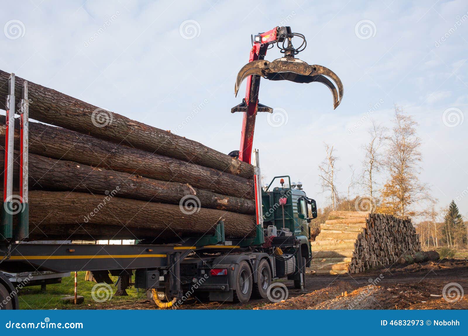 Transporting from Tree Trunks with a Truck Stock Image - Image of ...