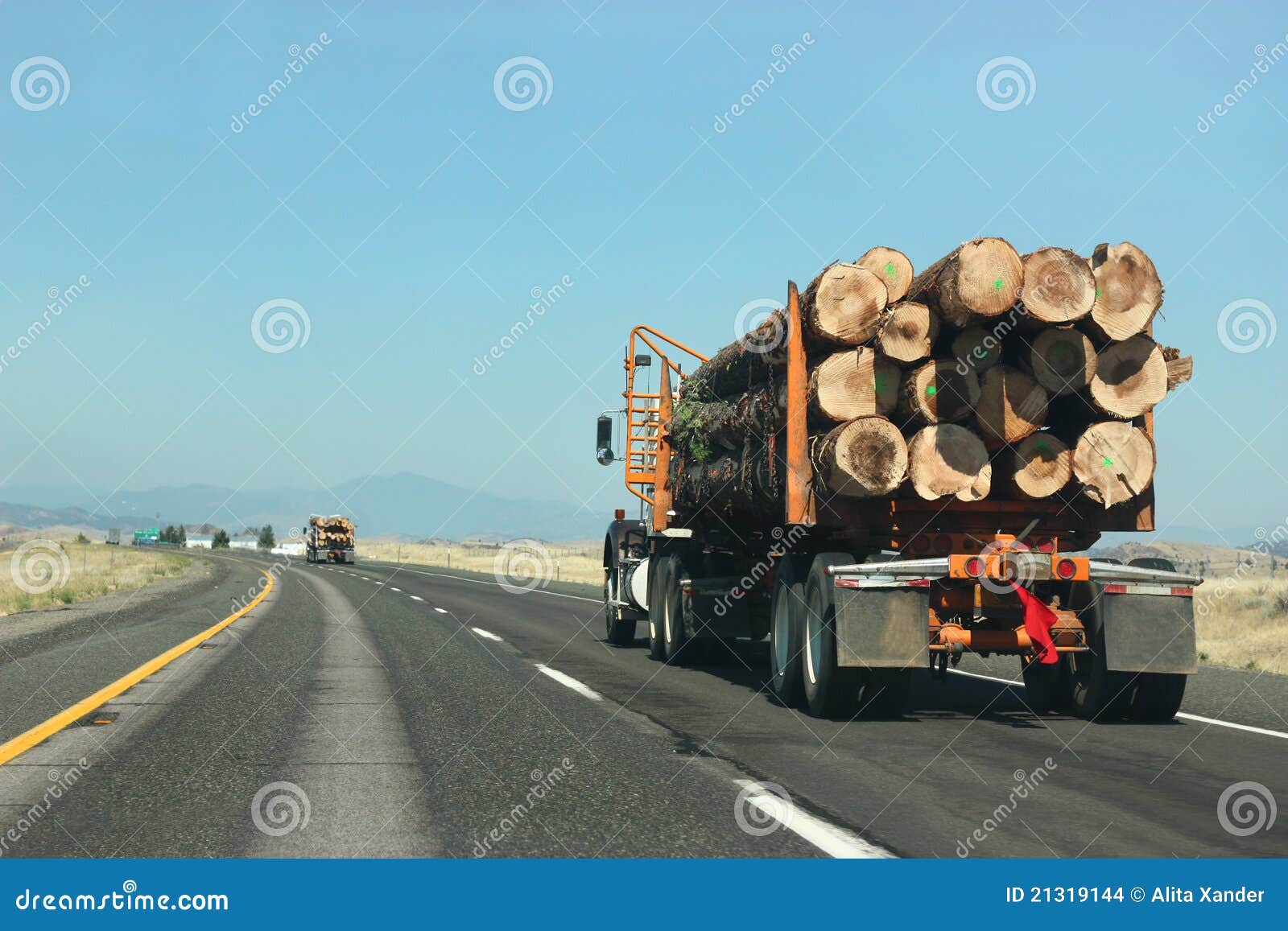 Transporting Wood stock photo. Image of firewood, fuel - 21319144