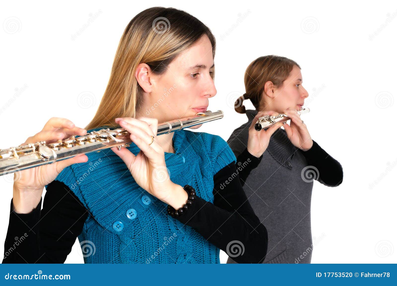 Transverse Flute Stock Image | CartoonDealer.com #1878553