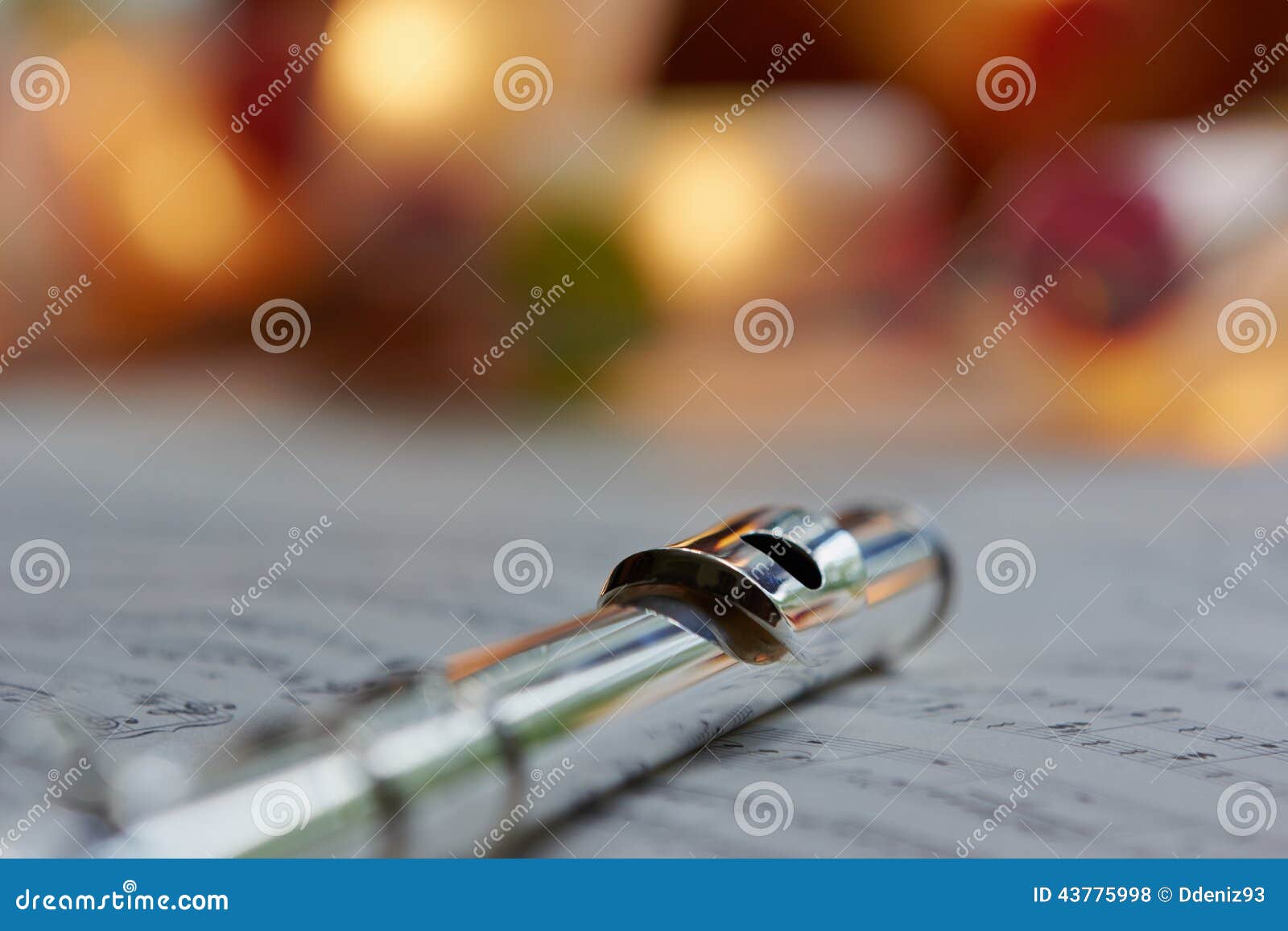 Transverse Flute Royalty-Free Stock Photography | CartoonDealer.com ...