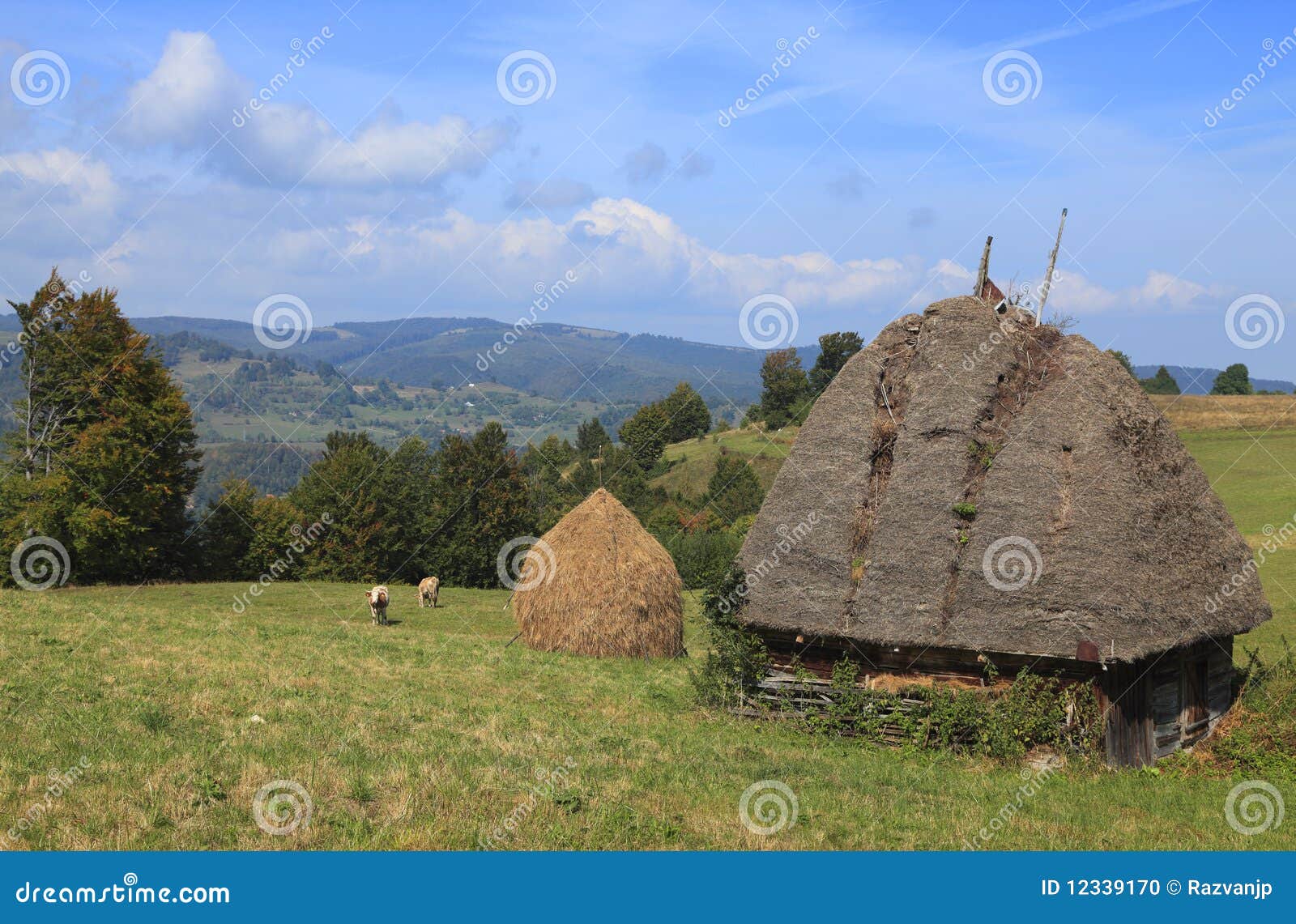 Transylvanian Landscape stock photo. Image of natural - 12339170
