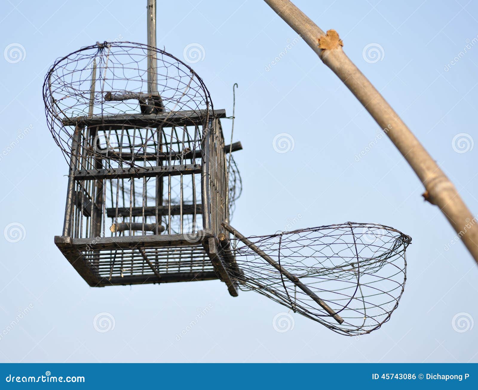 Trap Bird stock photo. Image of tool, catching, bamboo - 45743086