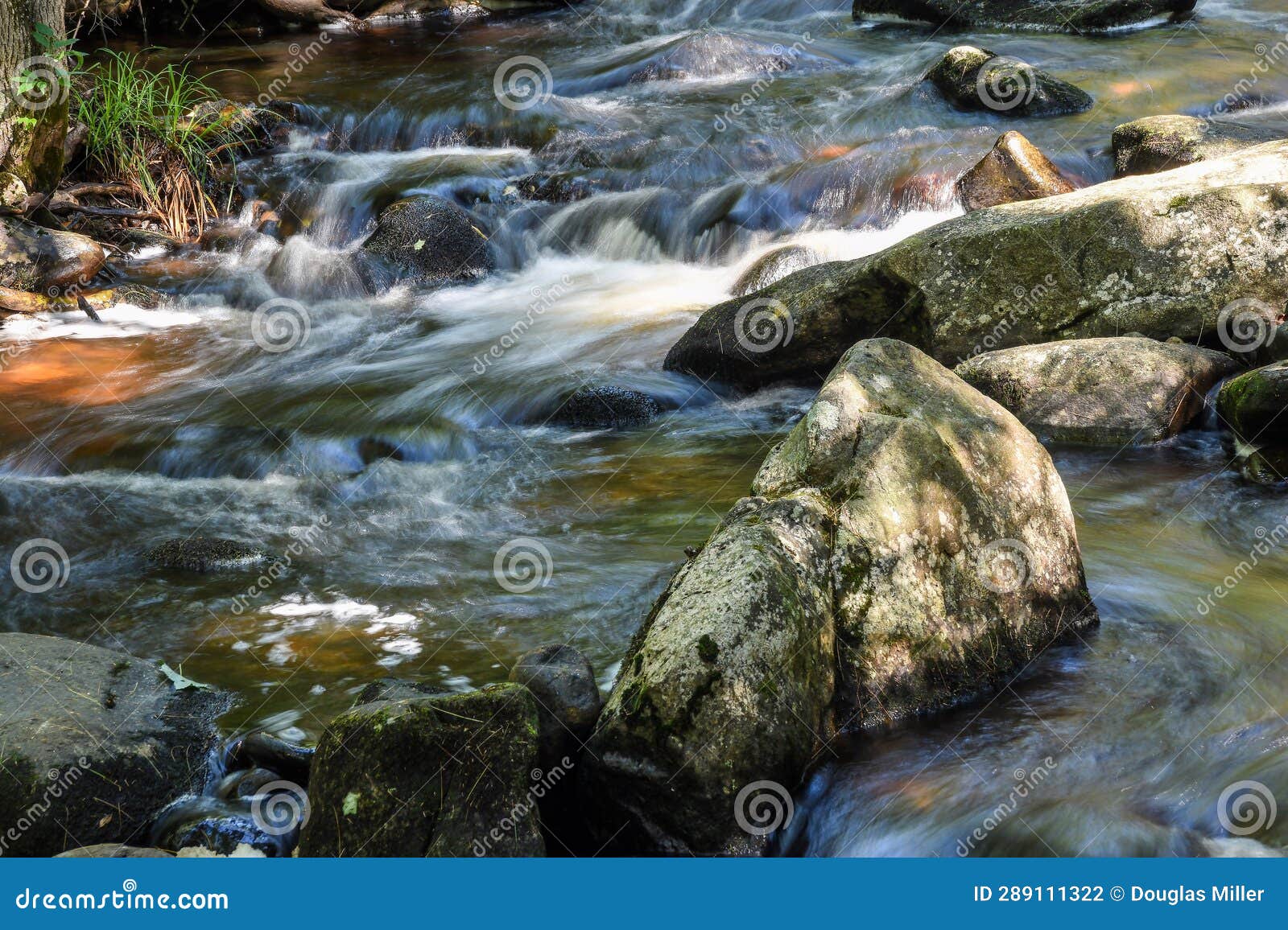 Trap Fall Brook Flowing through Willard Brook Staye Park Stock Photo ...