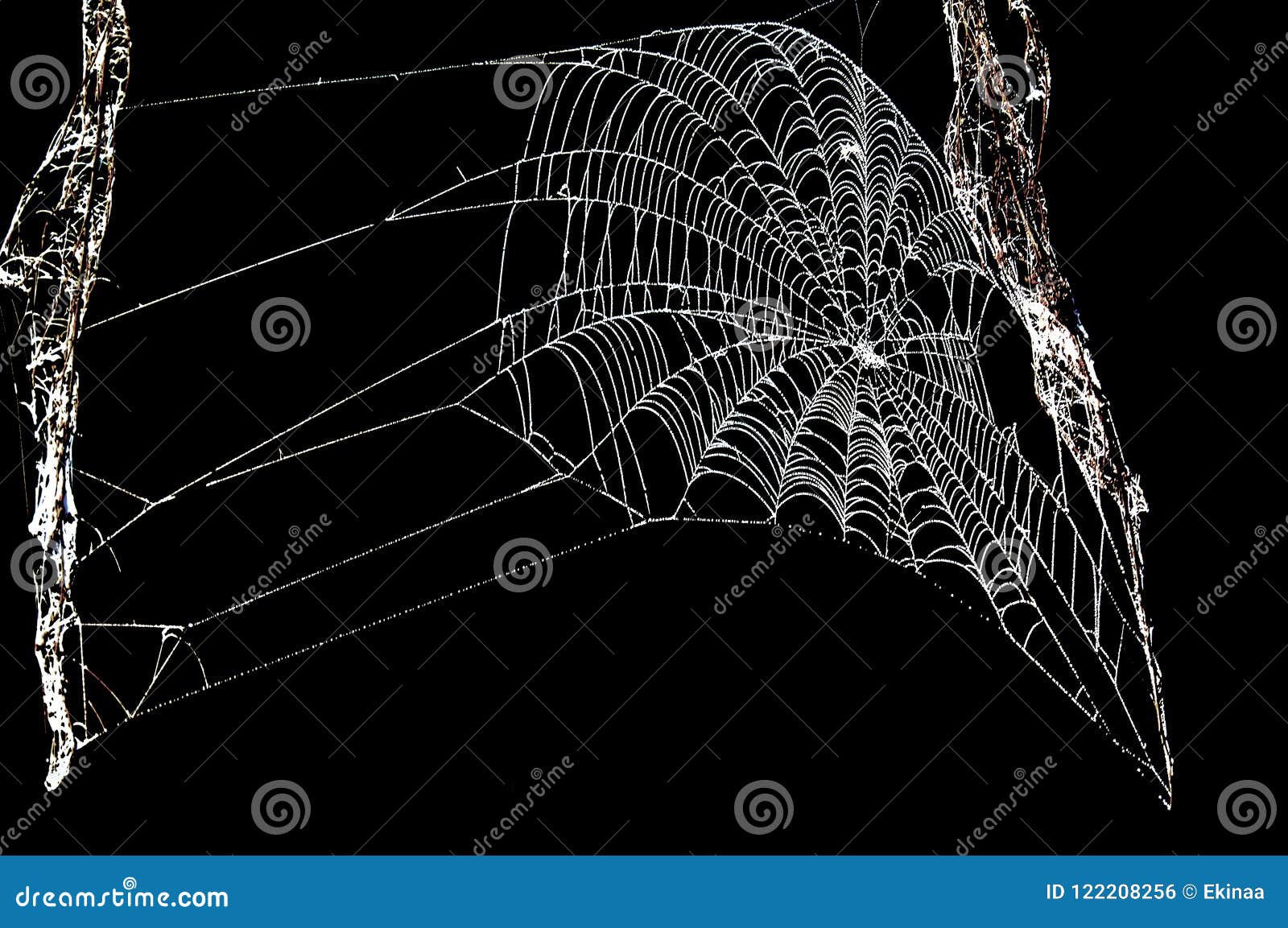 Trap, Snare, Hook, Pitfall, Catch, Cobweb. Woven Web of the Spider ...