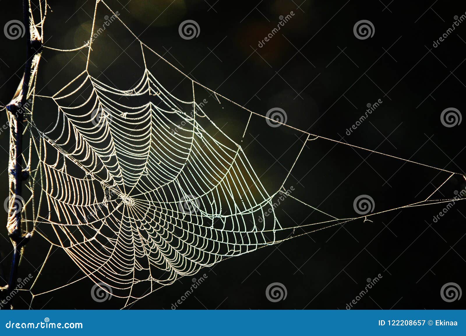Trap, Snare, Hook, Pitfall, Catch, Cobweb. Woven Web of the Spider ...