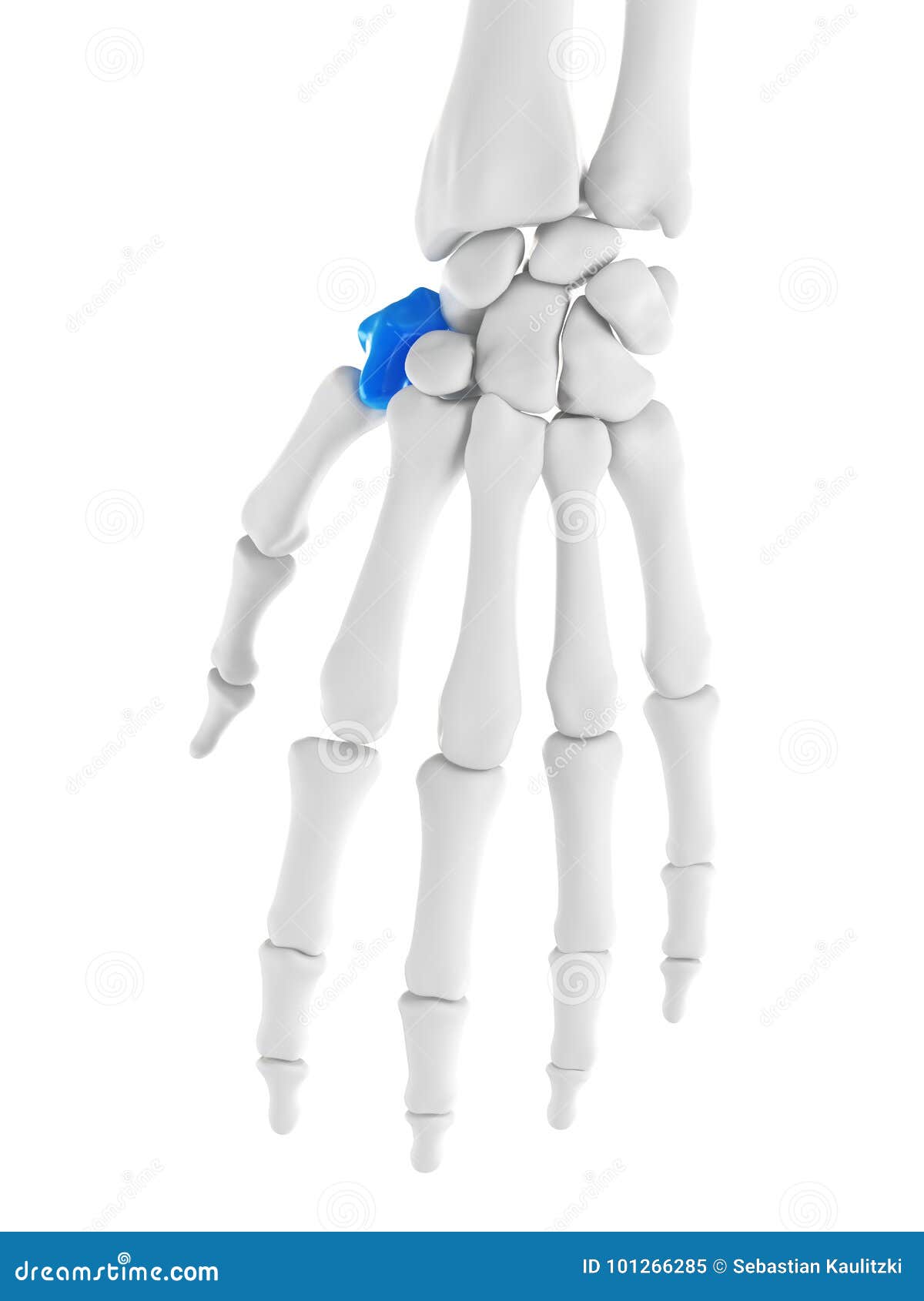 The trapezium stock illustration. Illustration of rendered - 101266285