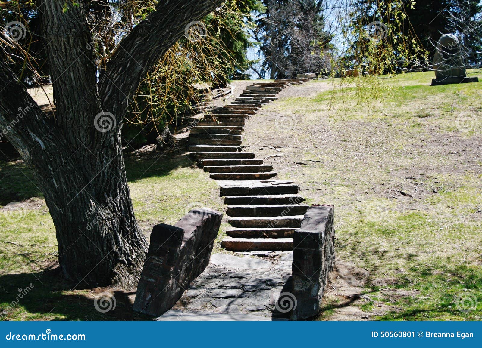 Trappa till fotografering för bildbyråer. Bild av montana - 50560801