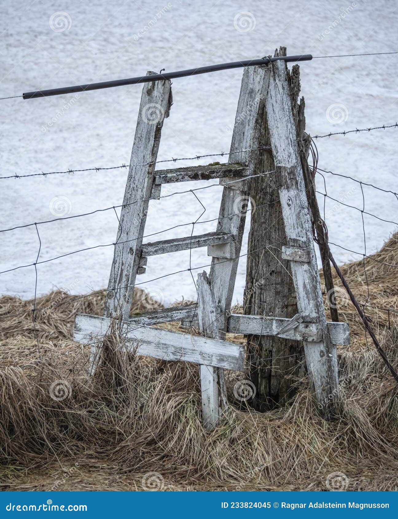 Rooted Stairs Over a Useless Fence. Stock Image - Image of steps, fence ...