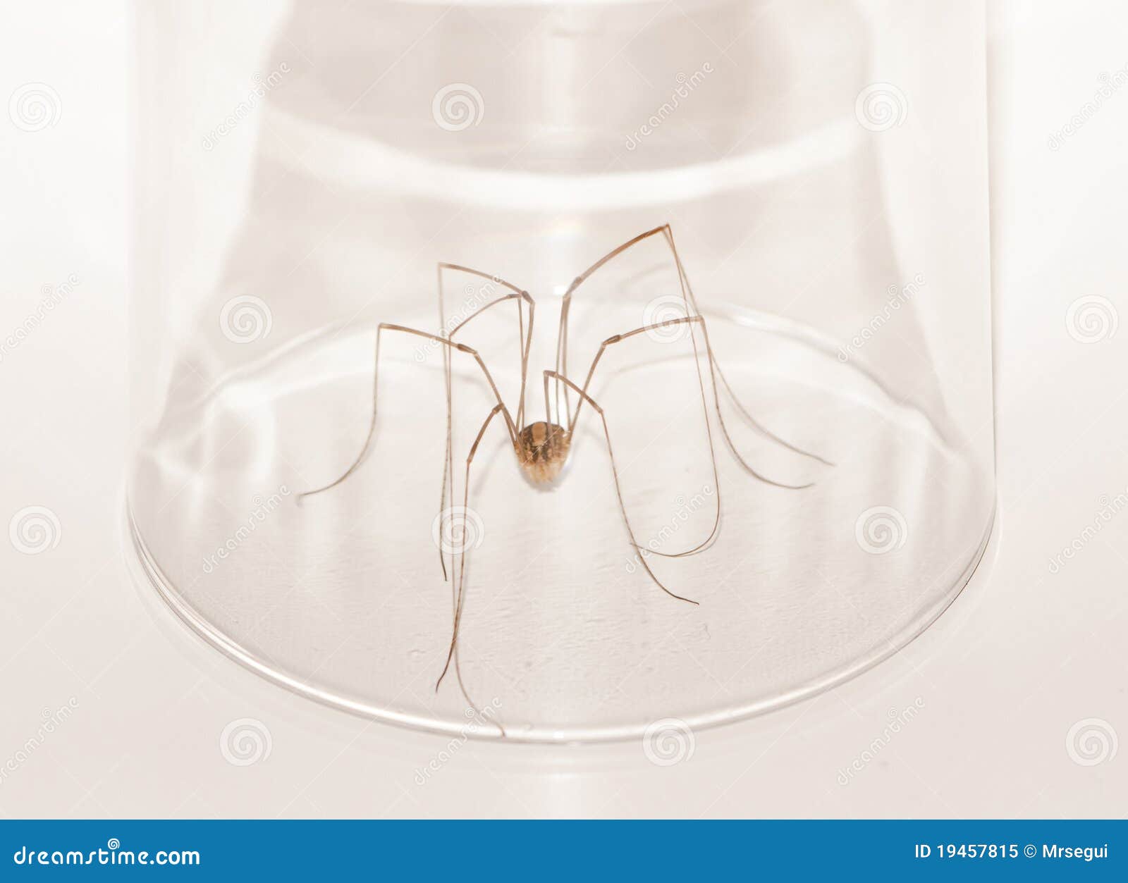 Trapped in Glass stock image. Image of tableware, long - 19457815