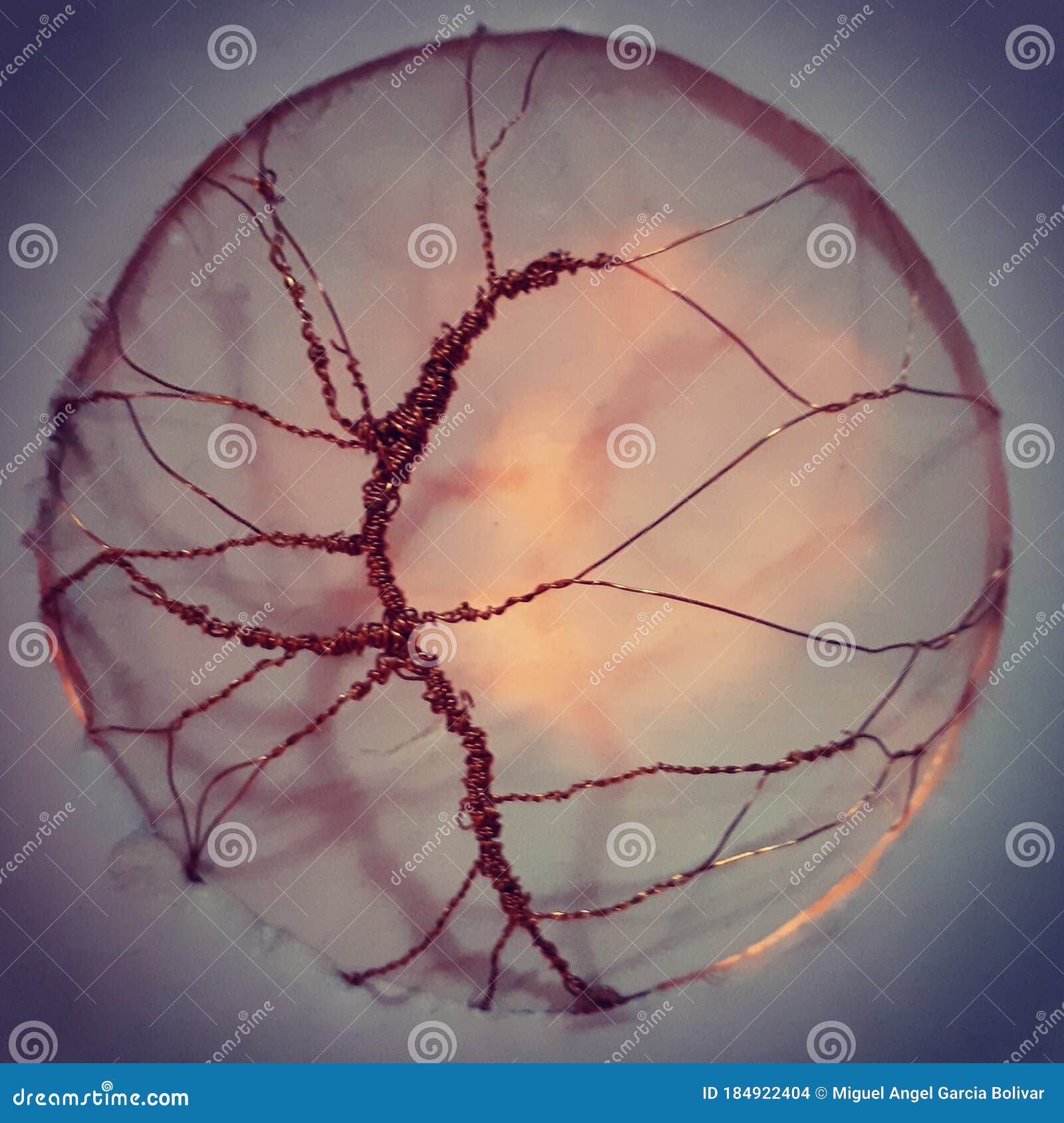 Trapped Light into an Air Egg Stock Photo - Image of trapped, light ...