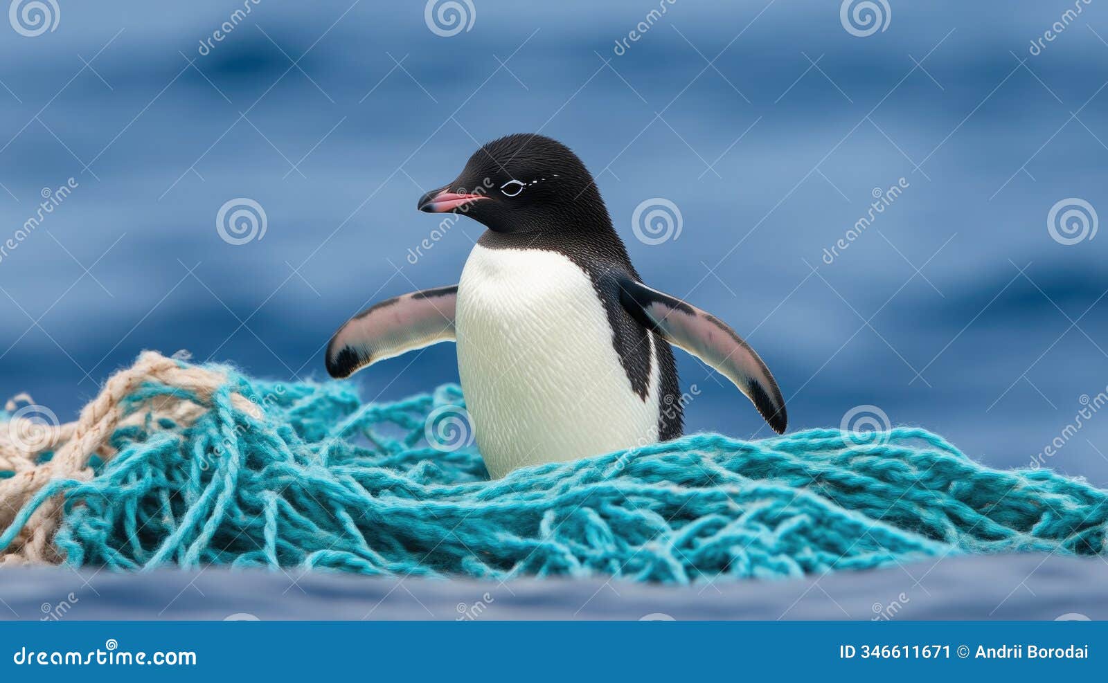 Trapped Penguin Struggling To Break Free from Net. Stock Illustration ...