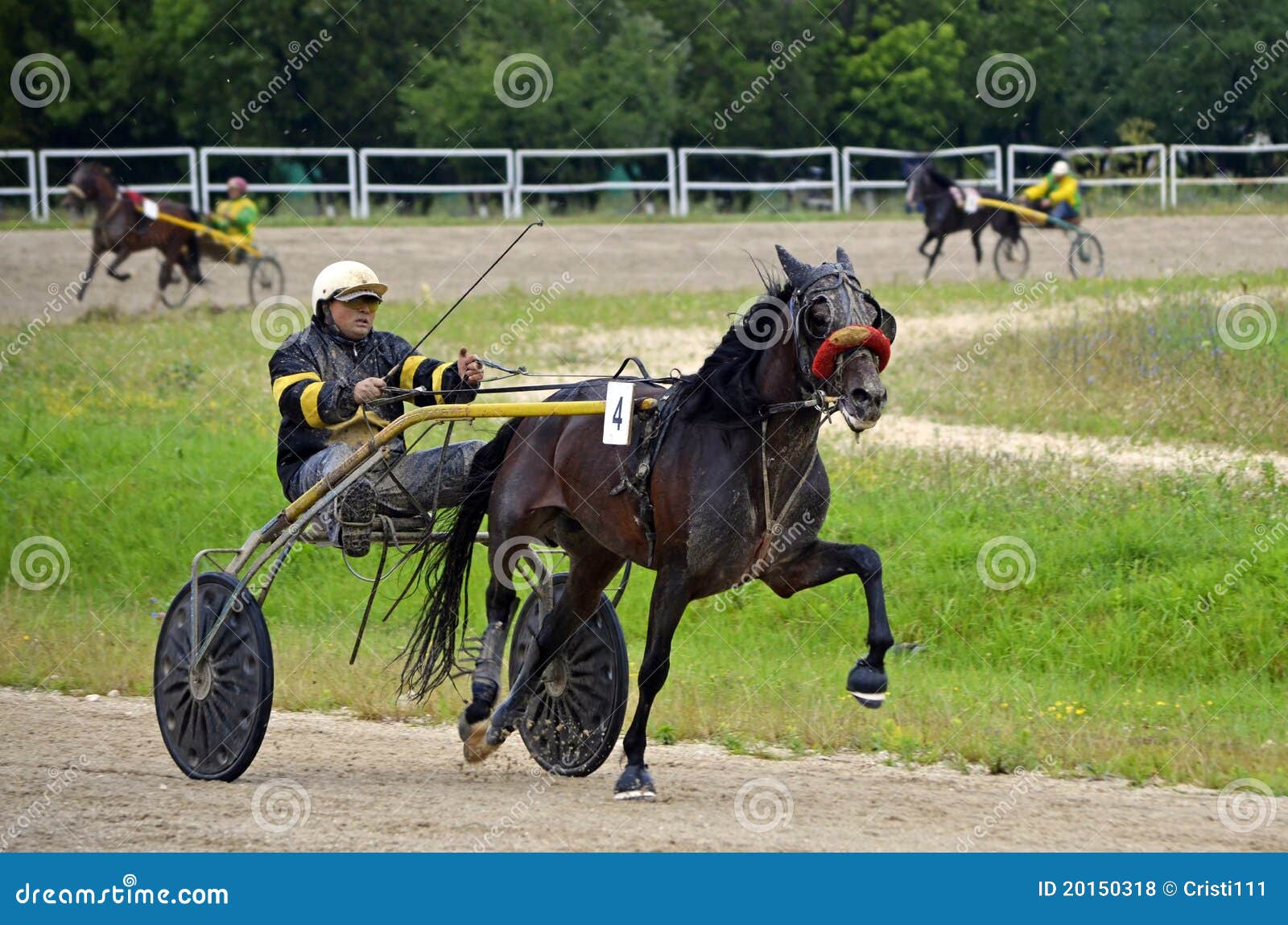 Trapping editorial stock photo. Image of medal, gheorghe - 20150318
