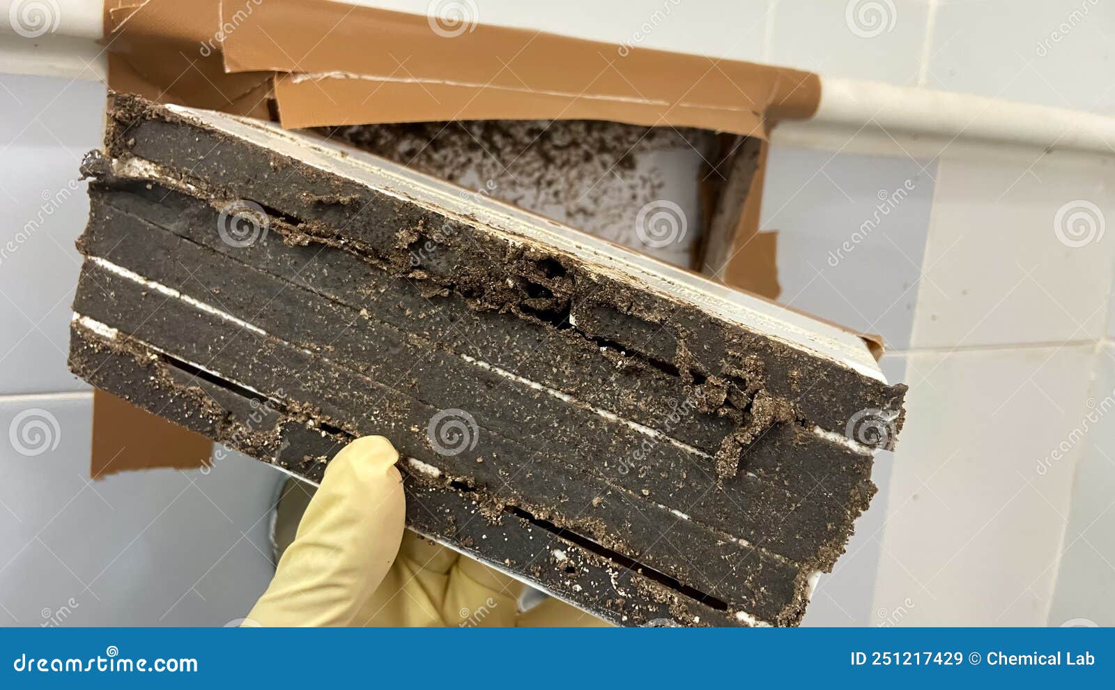 Traps for Killing Termites in the House Stock Image - Image of house ...