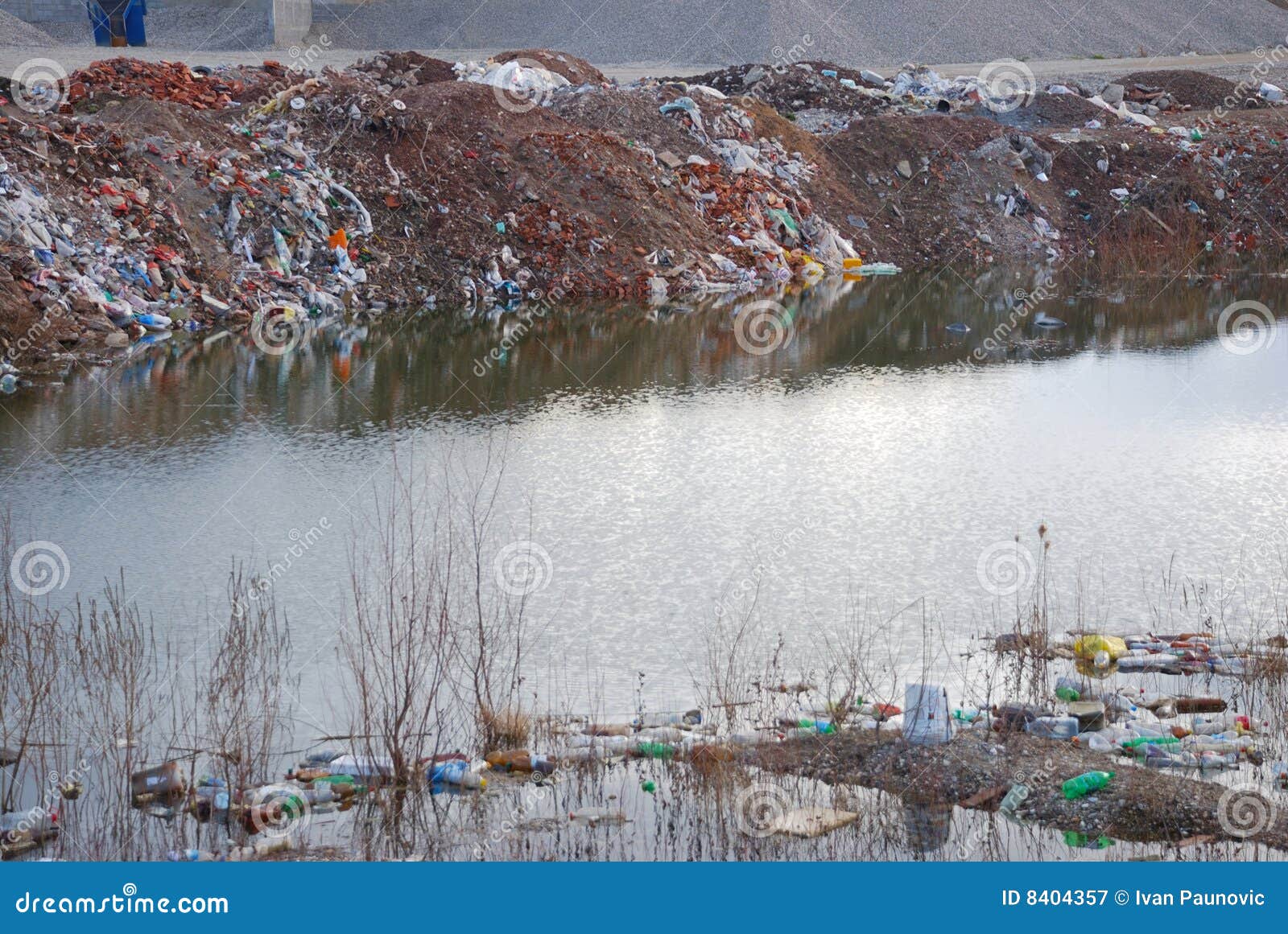 Disgusting Trash Bin With Rotting Fruits And Plastic Bags. An ...