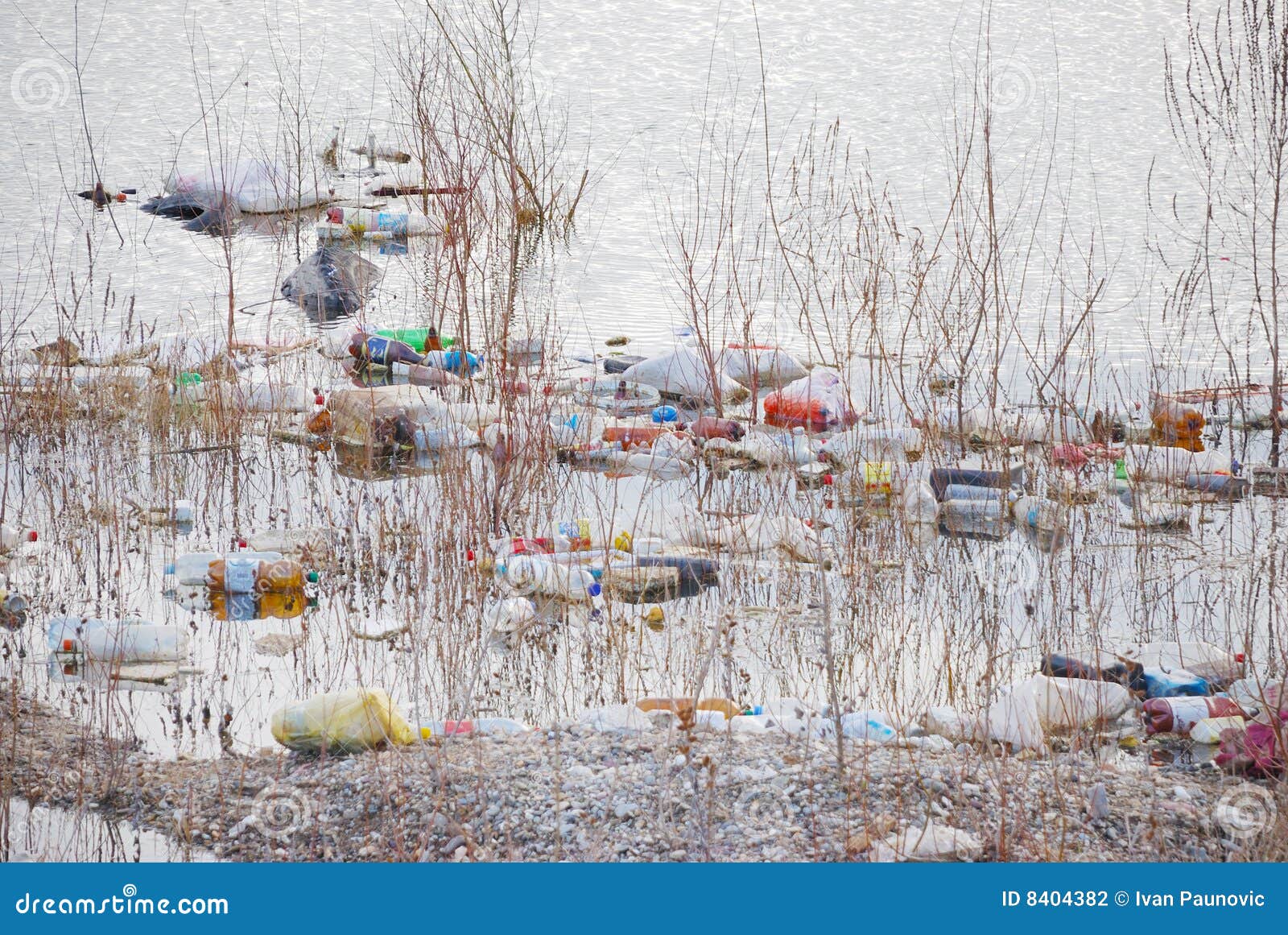Disgusting Trash Bin With Rotting Fruits And Plastic Bags. An ...