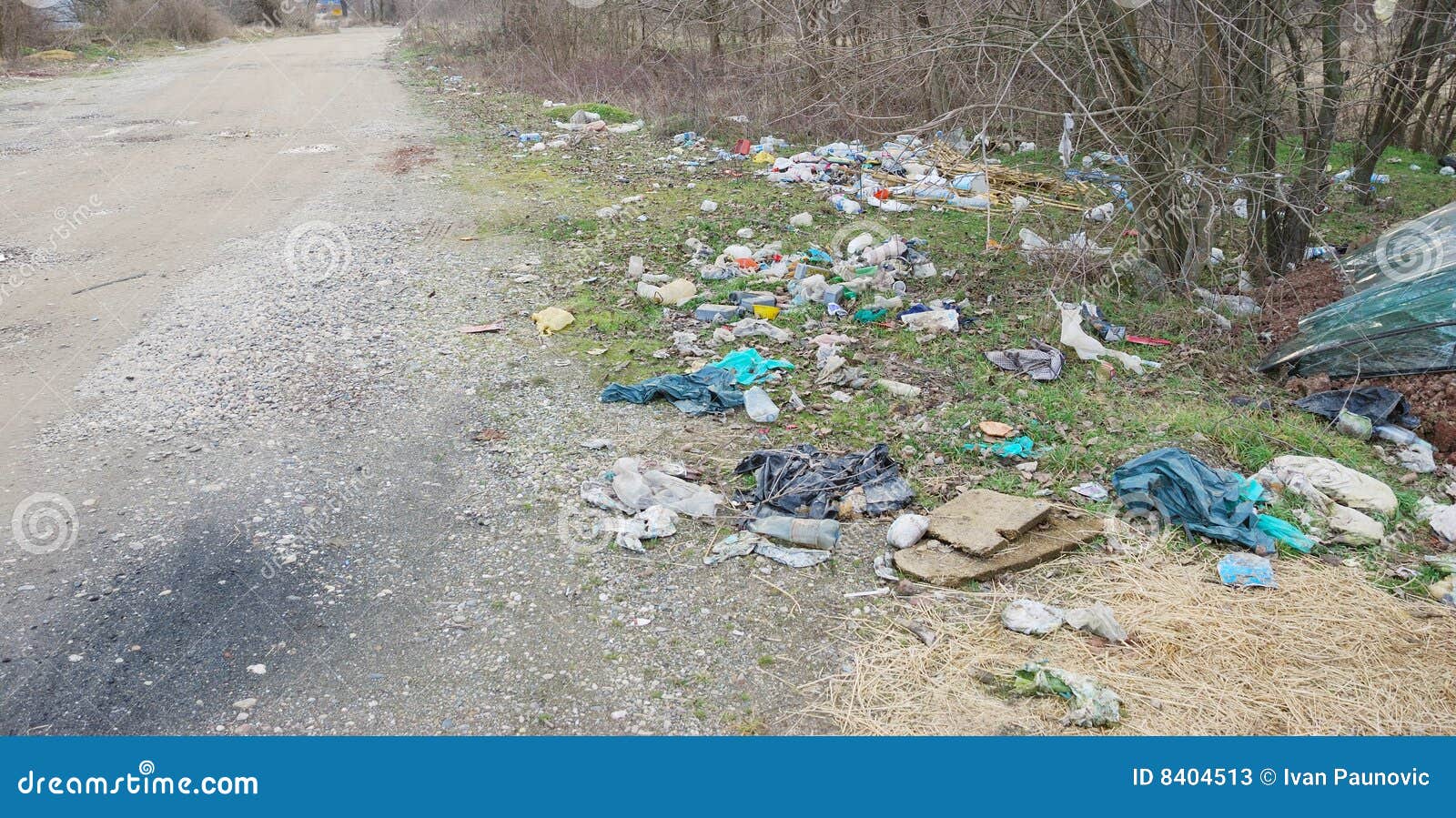 Disgusting Trash Bin With Rotting Fruits And Plastic Bags. An ...