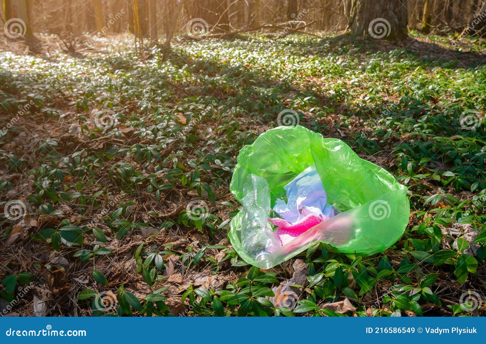 Trash Around the Trees in Forest. Debris, Plastic Waste. Environmental ...