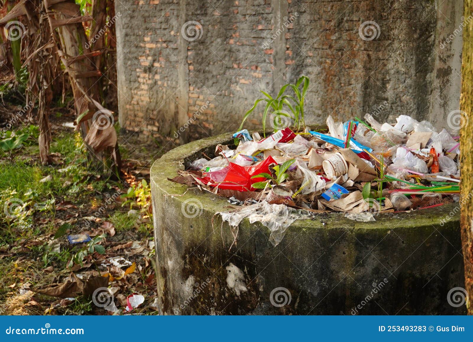 Trash Backyard School stock image. Image of tree, pond - 253493283