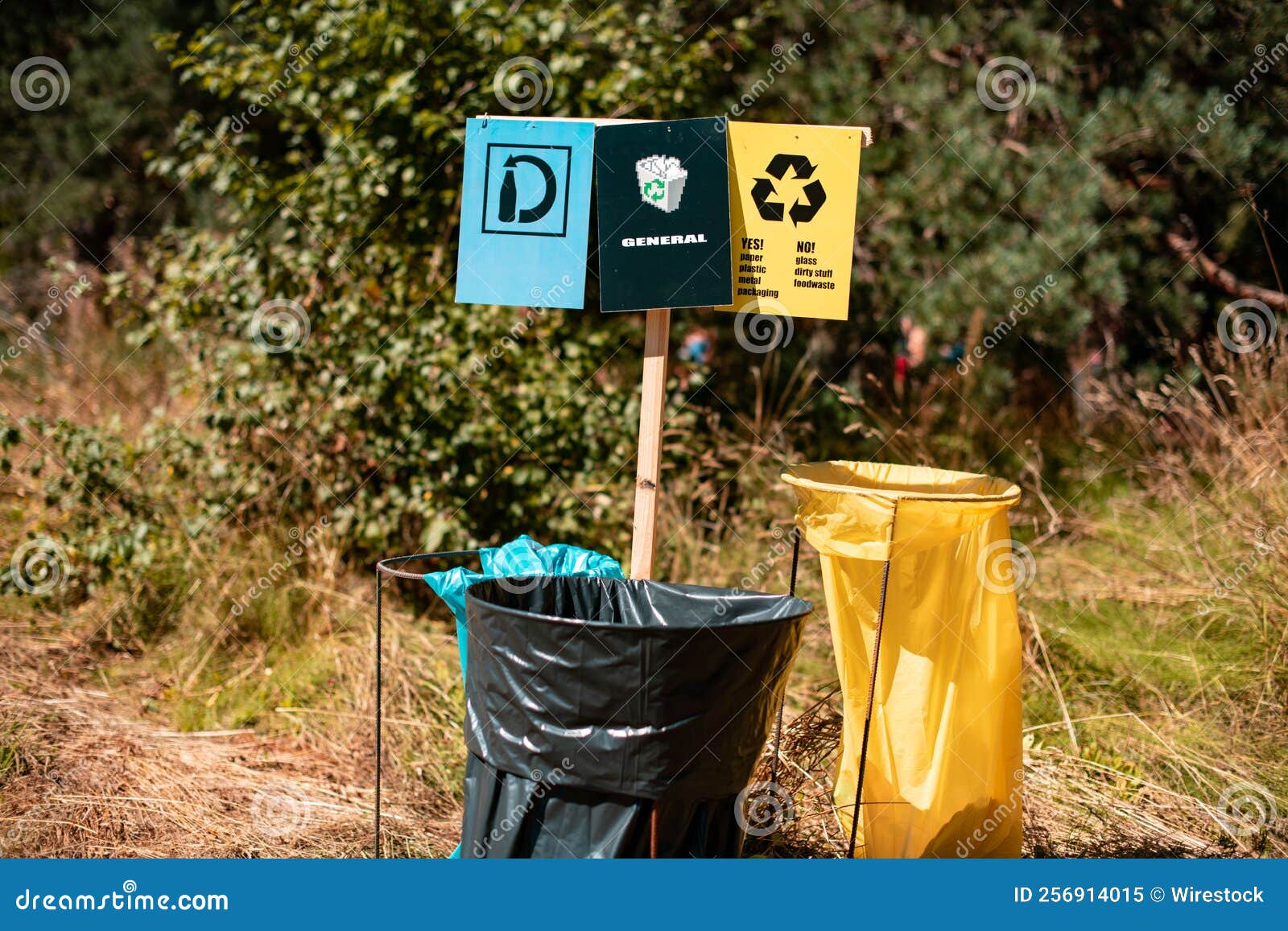 Trash Bags in the Forest with Sorting Signs. Stock Illustration ...