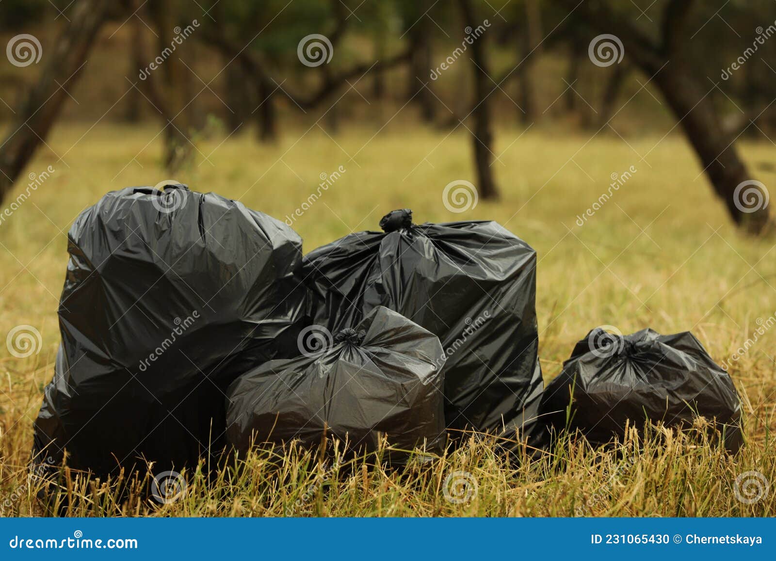 Trash Bags Full of Garbage on Grass Outdoors Stock Photo - Image of ...