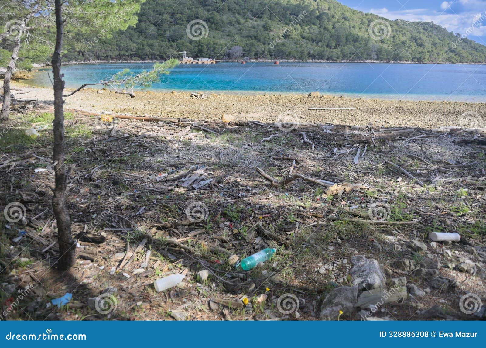Trash the beach in Croatia stock photo. Image of tree - 328886308