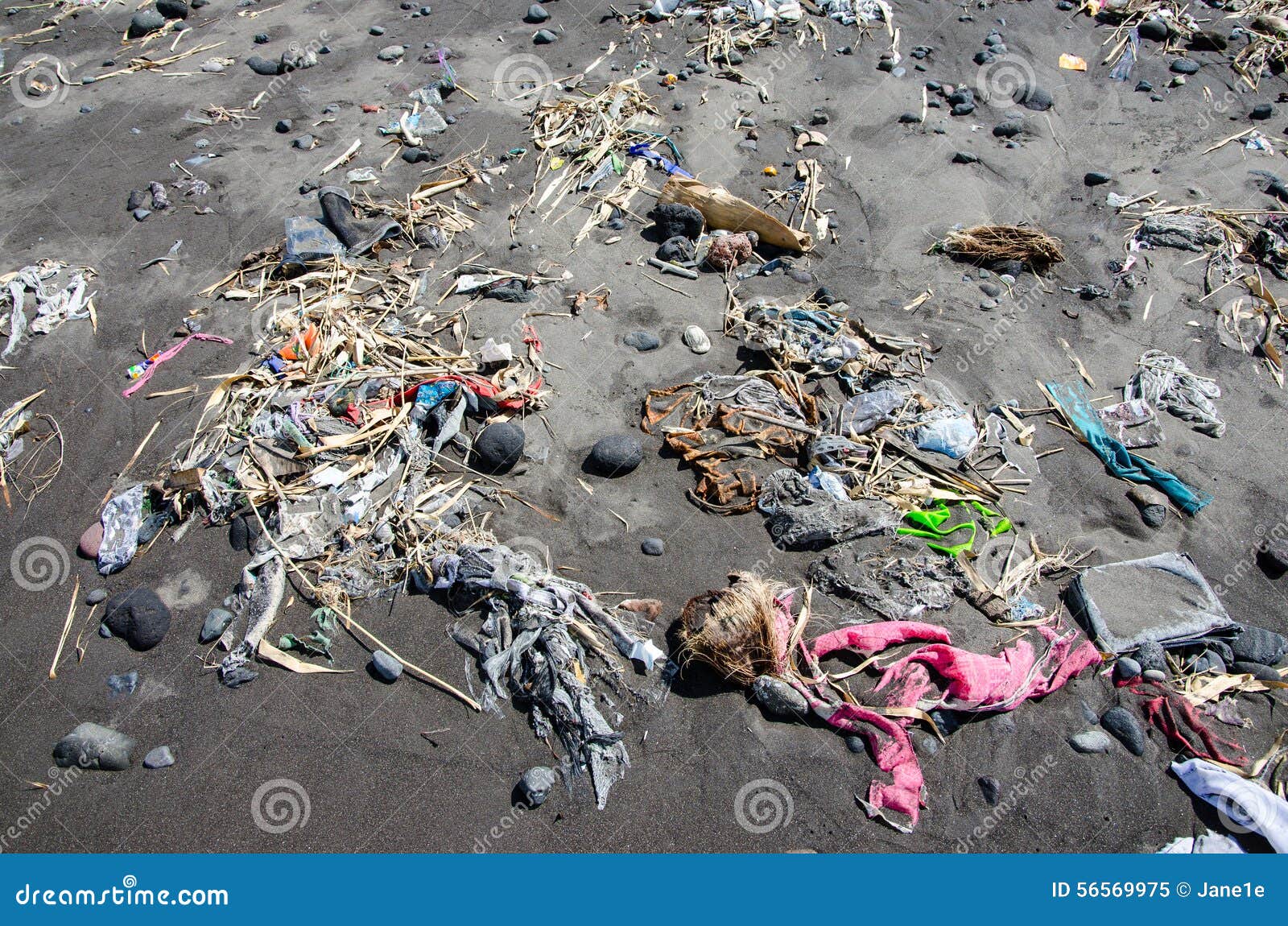 Trash on the beach stock image. Image of ecology, metal - 56569975