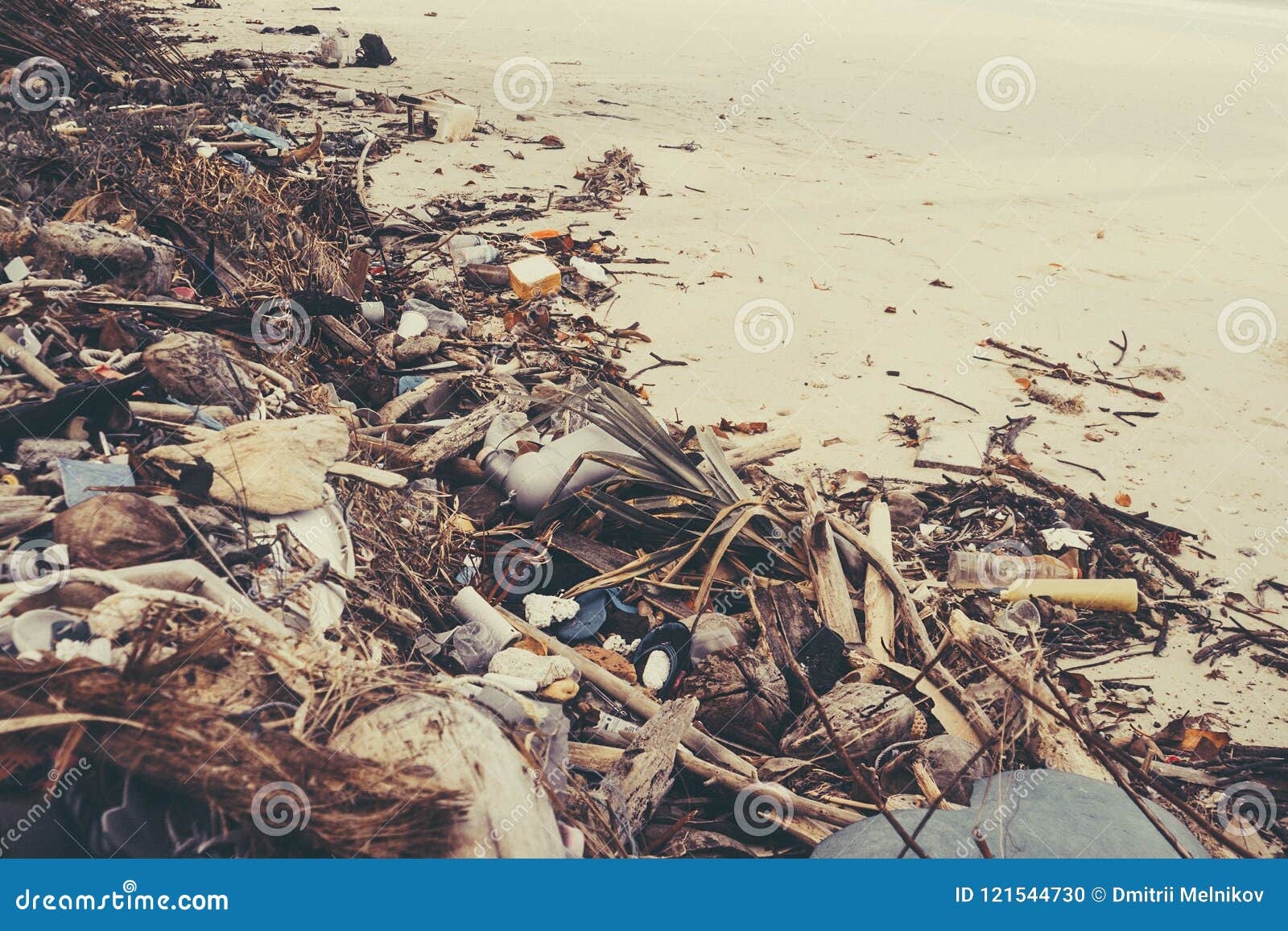 Trash on the Beach stock photo. Image of people, problem - 121544730