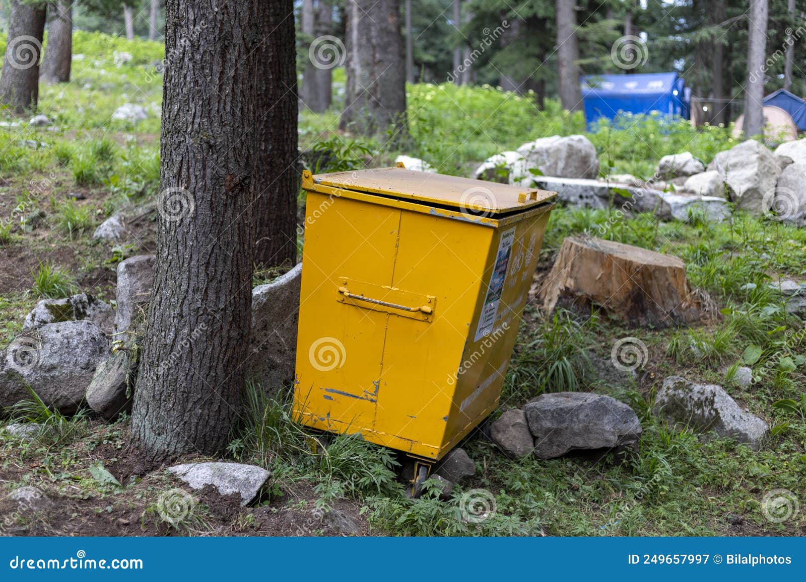 Trash Bin in Forest Under a Tree Stock Image - Image of scenery ...