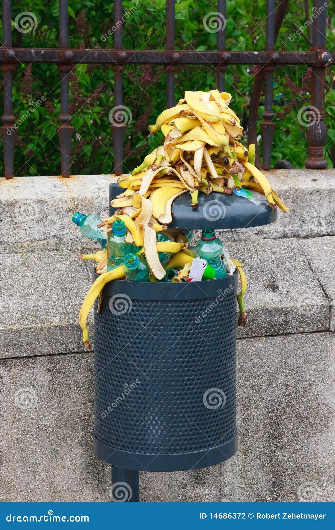 Trash bin full of bananas stock photo. Image of peel - 14686372