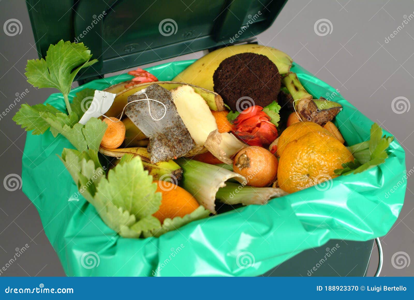Trash Bin Full of Organic Garbage Stock Photo - Image of fruits ...