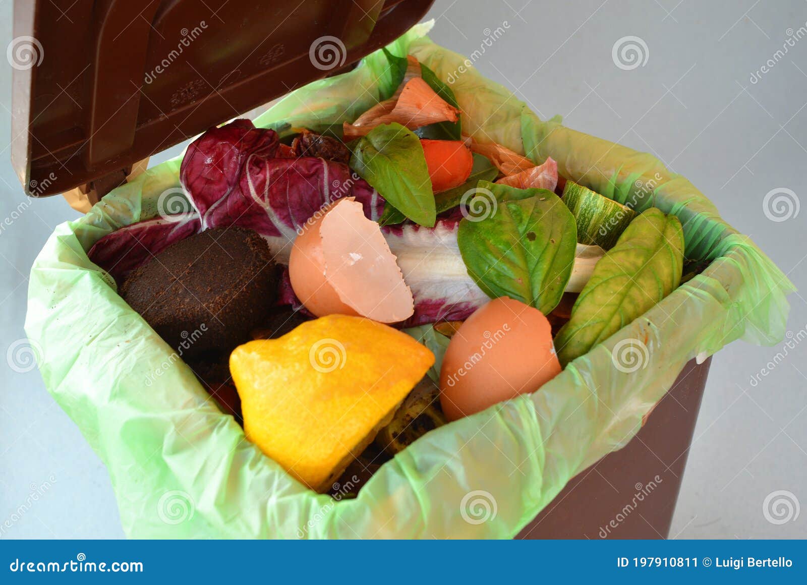 Trash Bin Full of Organic Garbage Stock Image - Image of scraps ...