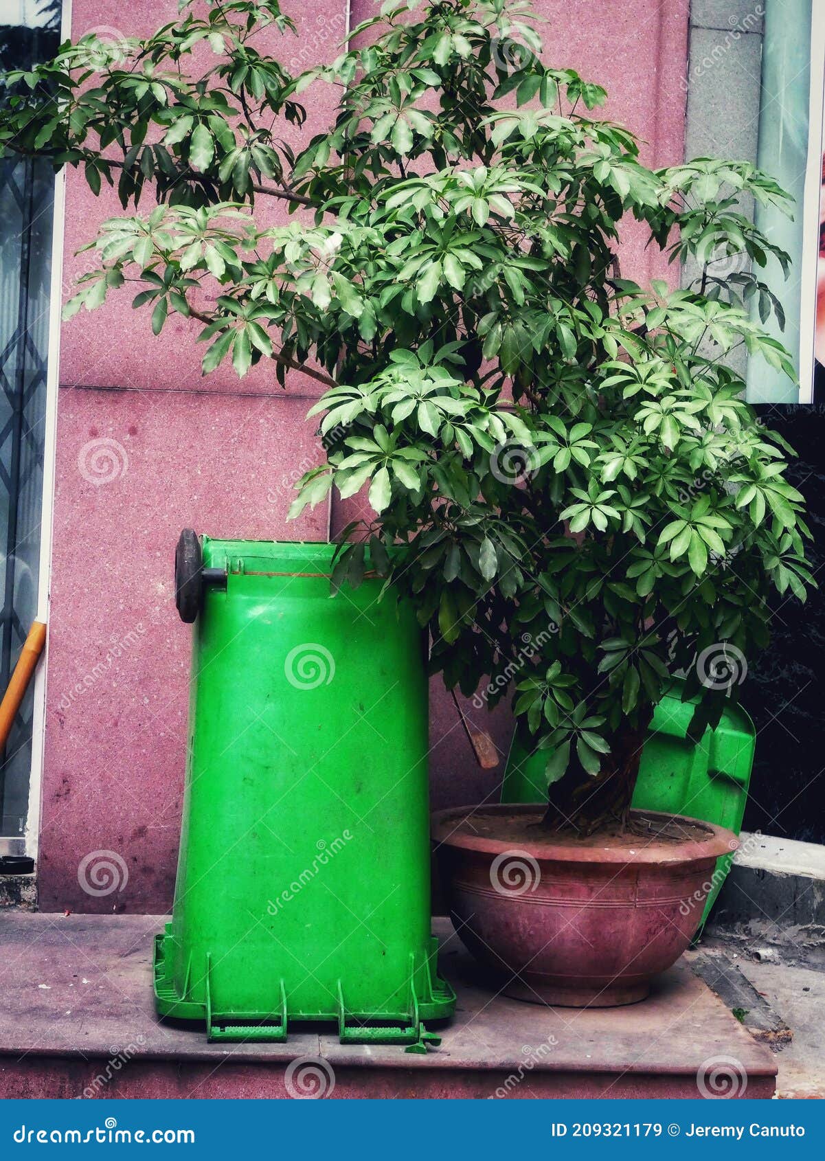 Trash can and tree stock image. Image of herb, green - 209321179
