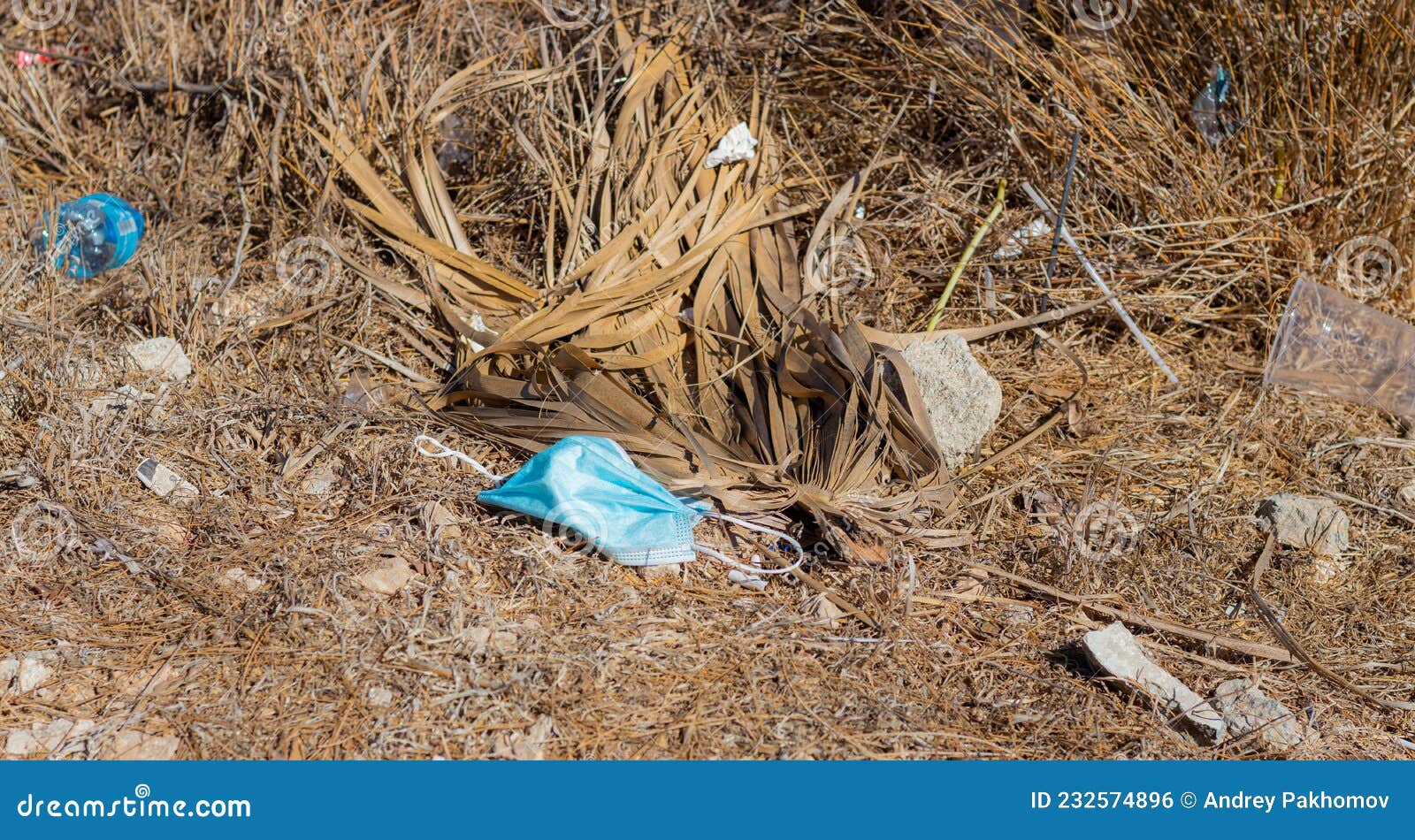 Trash Concept in Nature. Scattered Plastic Debris in the Environment ...