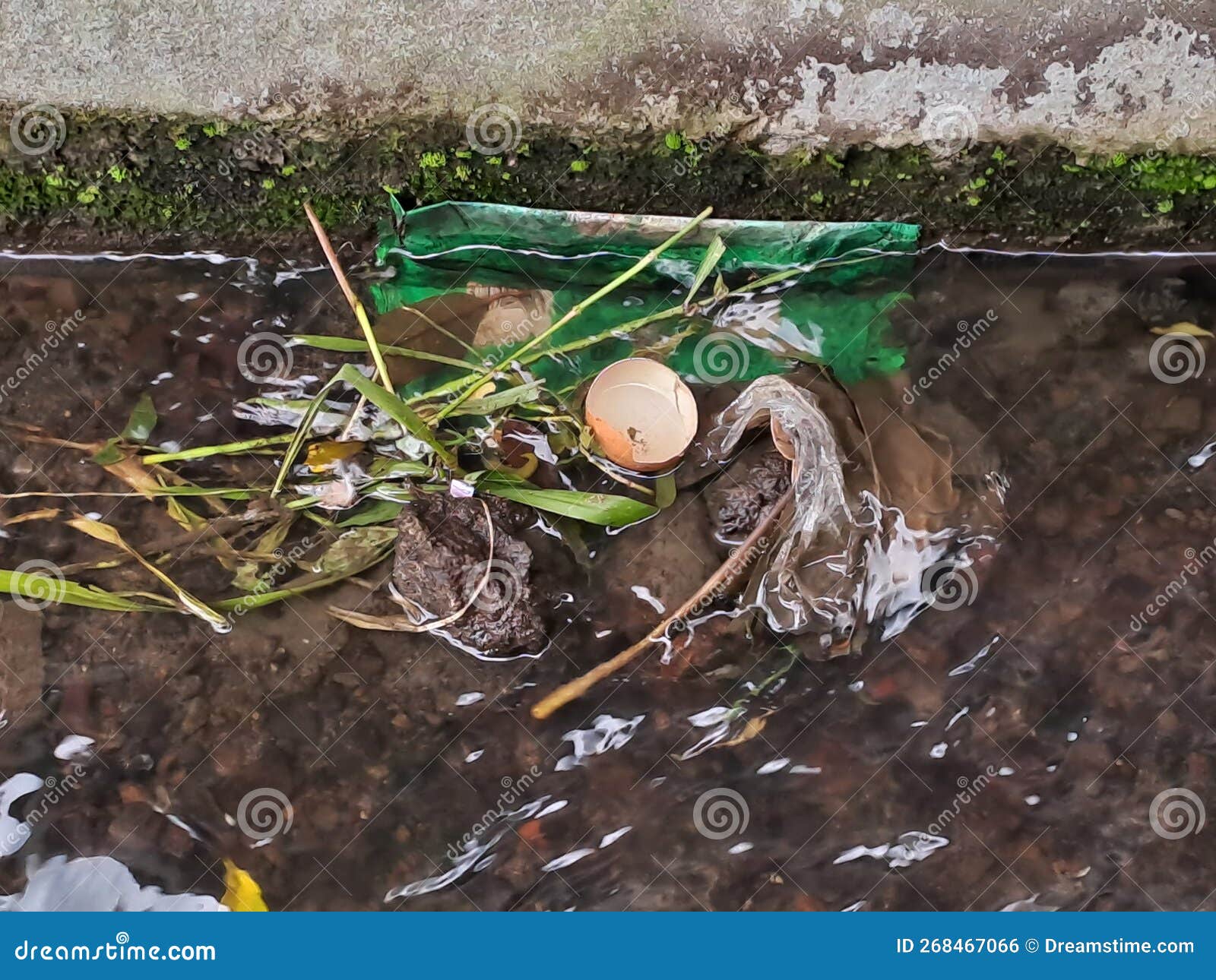 Trash in the ditch stock photo. Image of garden, leaf - 268467066