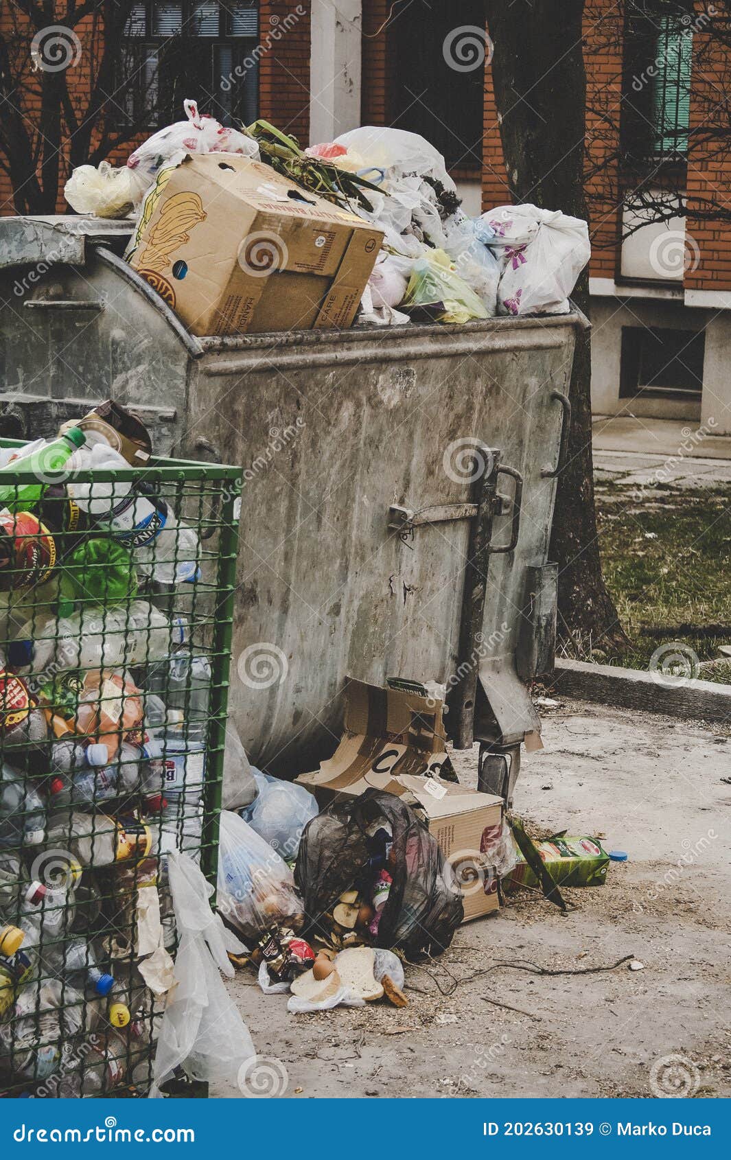 Trash Dumpster Being Overfull with Garbage in the City, Vertical Image ...