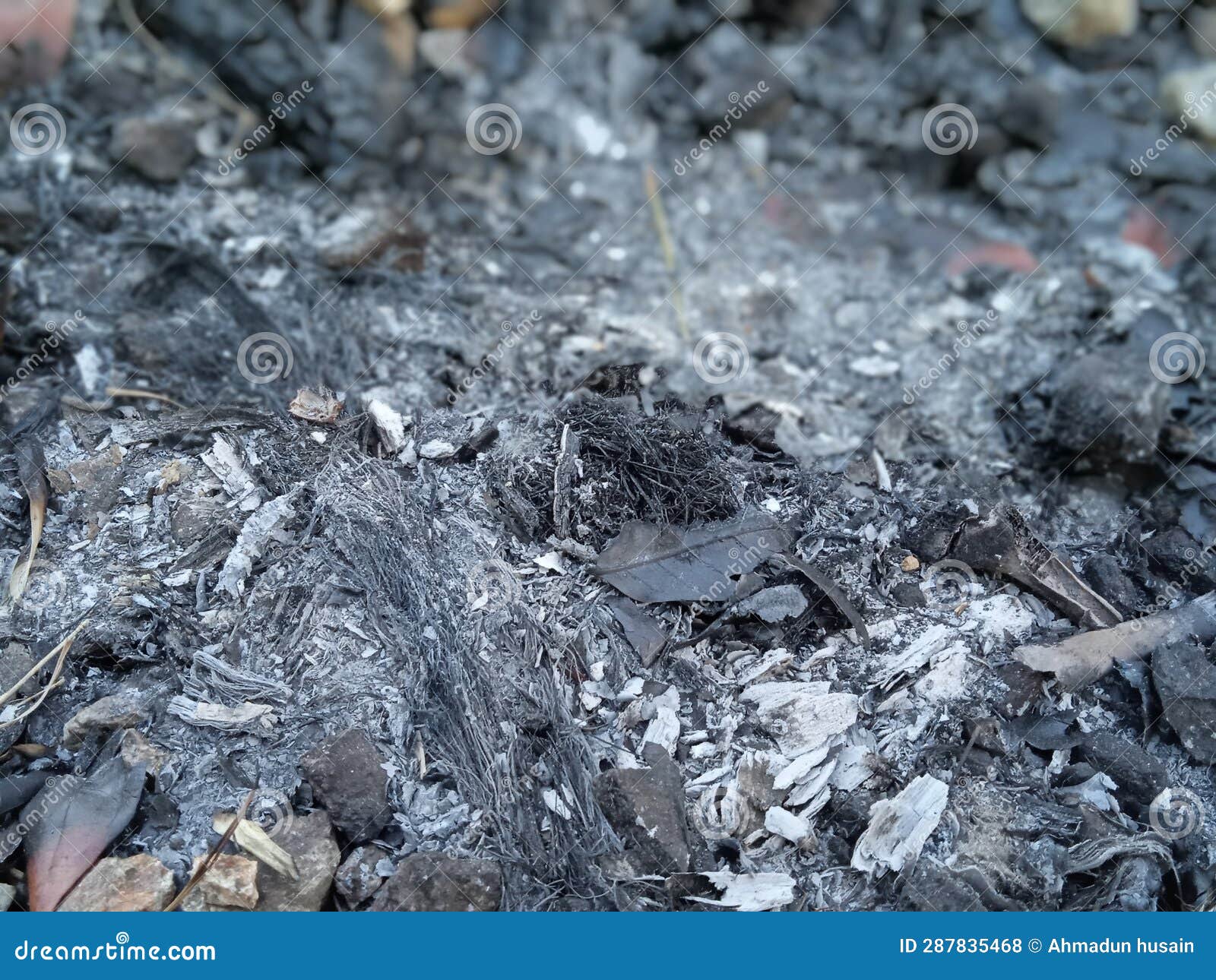 Trash dust stock photo. Image of dust, indonesia, trash - 287835468