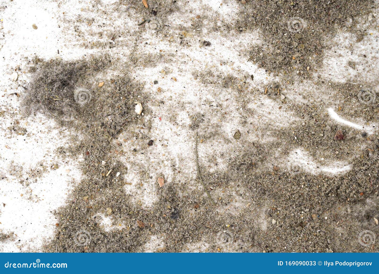 Trash, Dust, Dirt Isolated on a White Background Closeup. Texture of ...
