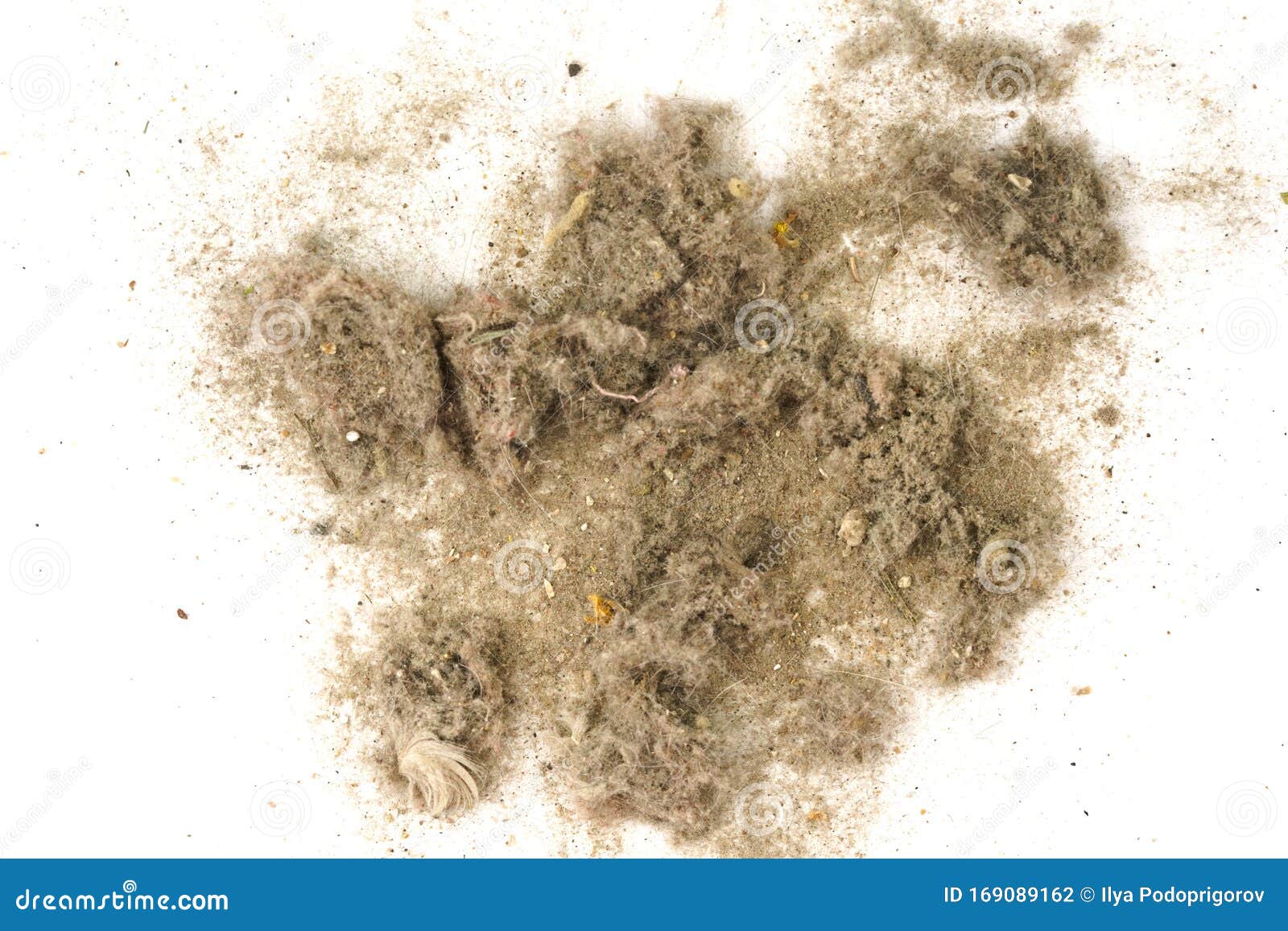 Trash, Dust, Dirt on a White Background Closeup. Texture of Garbage ...